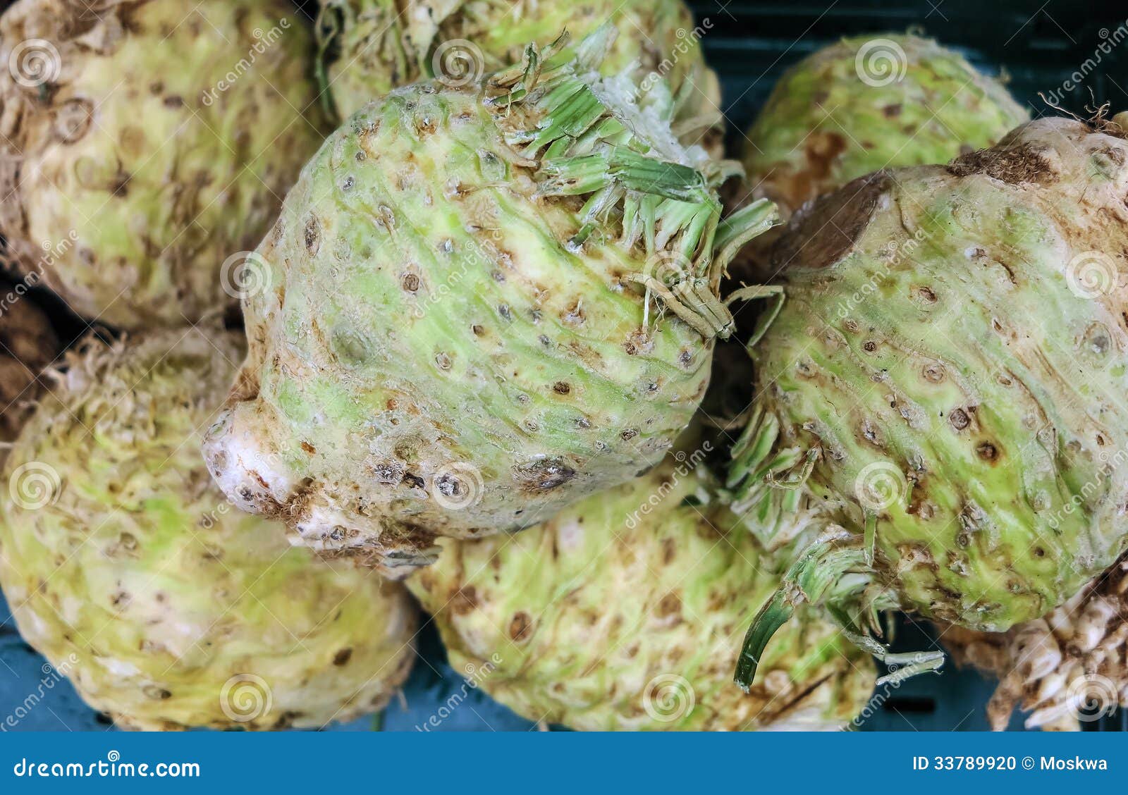 Knolselder stock foto. Image of landbouw, wortel, soep - 33789920