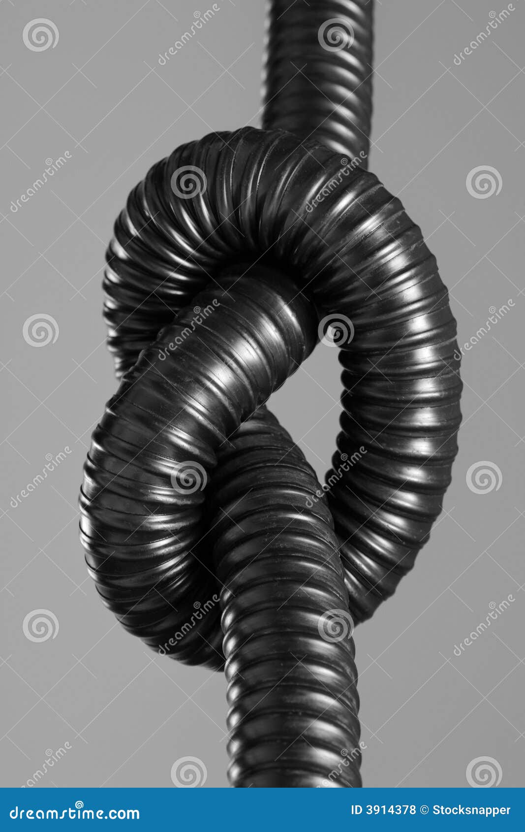 Knoop stock foto. Image of slang, knoop, flexibel, monochromatisch ...