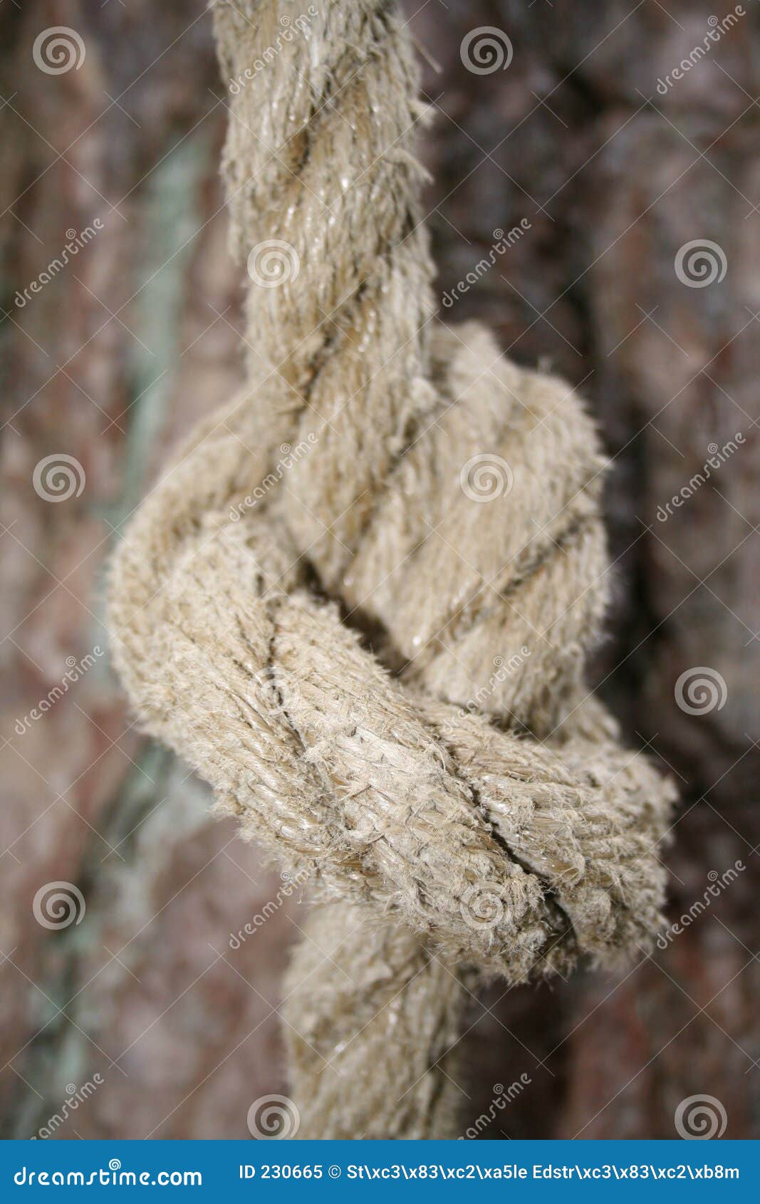 Knot Picture. Image: 230665