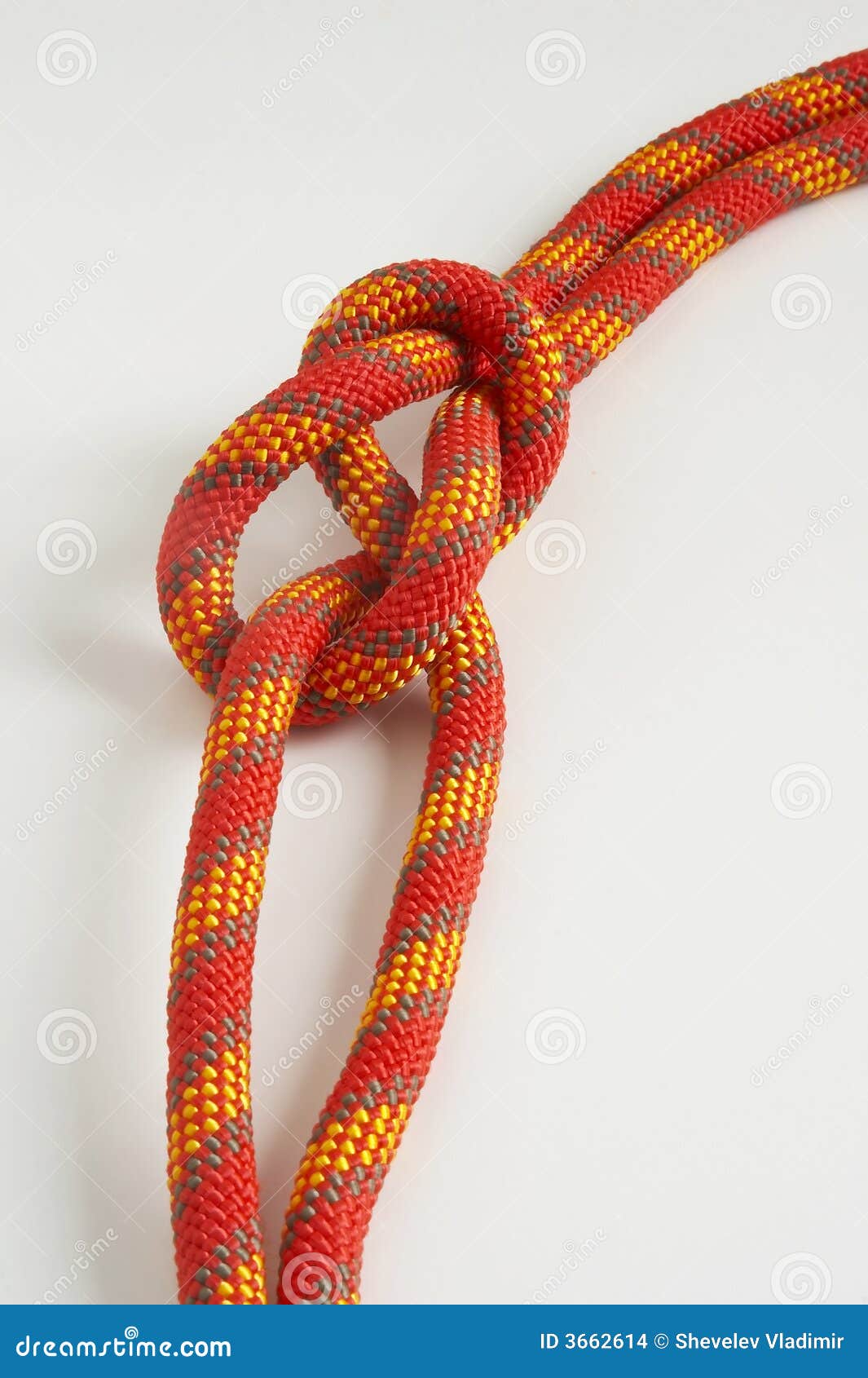 Knot stock photo. Image of loop, bond, close, knots, attached - 3662614