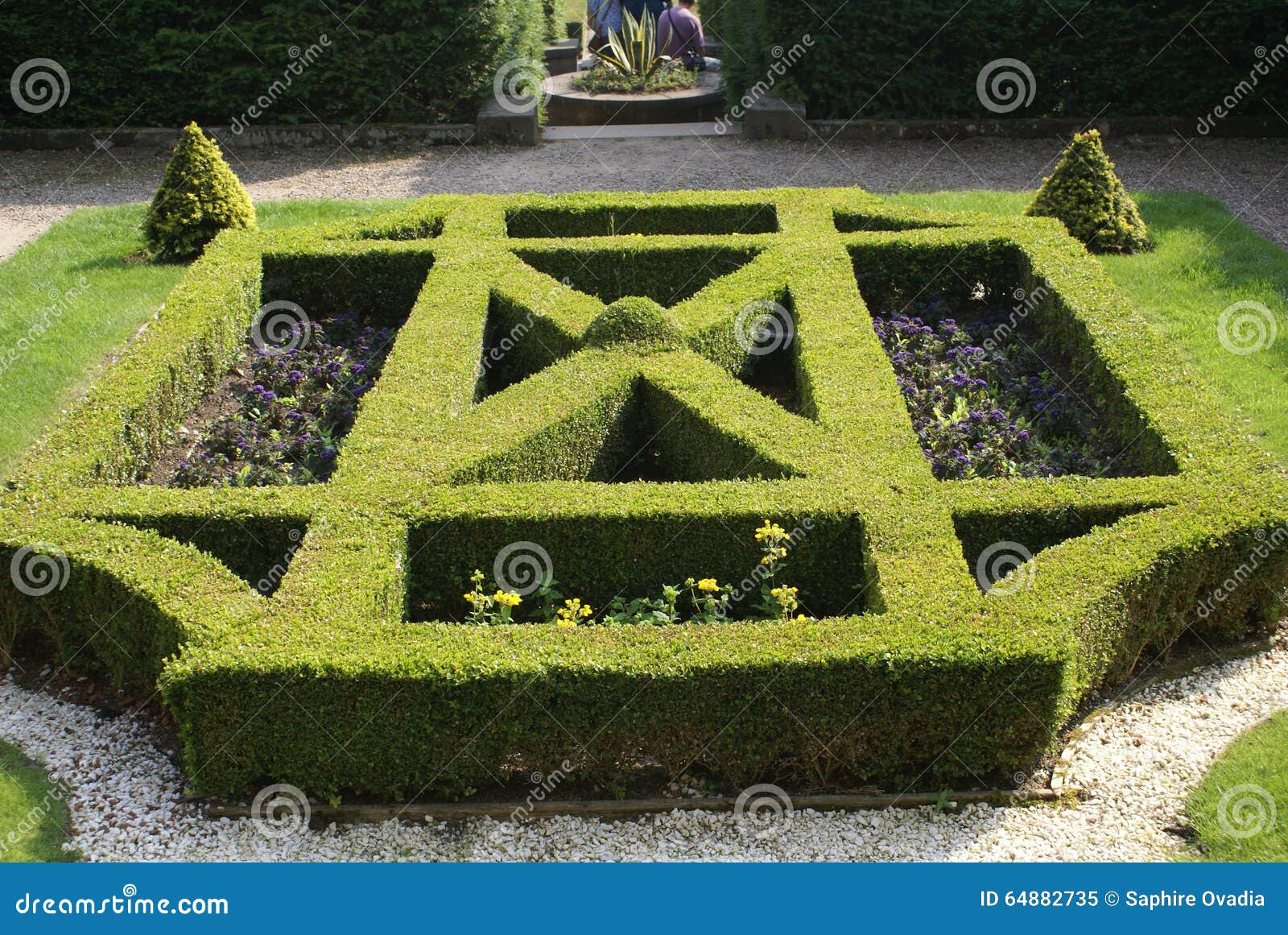Knot garden stock image. Image of design, view, cultivated - 64882735