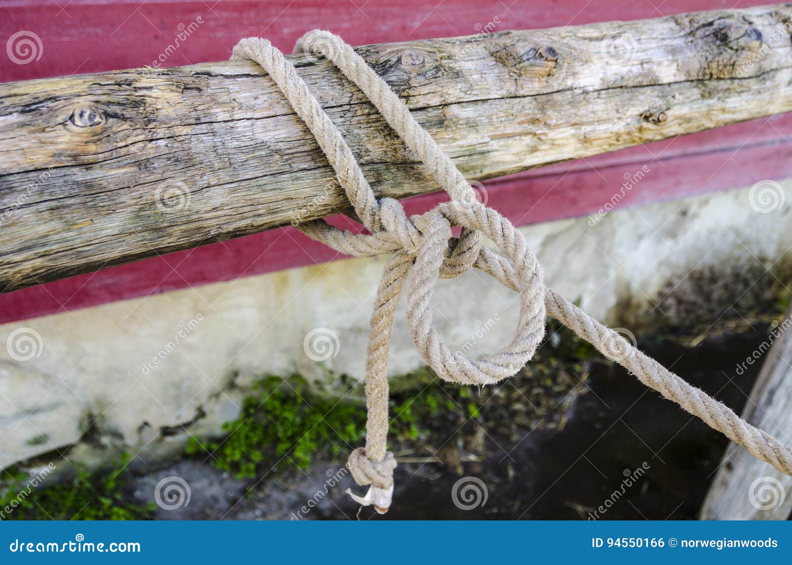 Knot on a hitching post stock photo. Image of flaked - 94550166