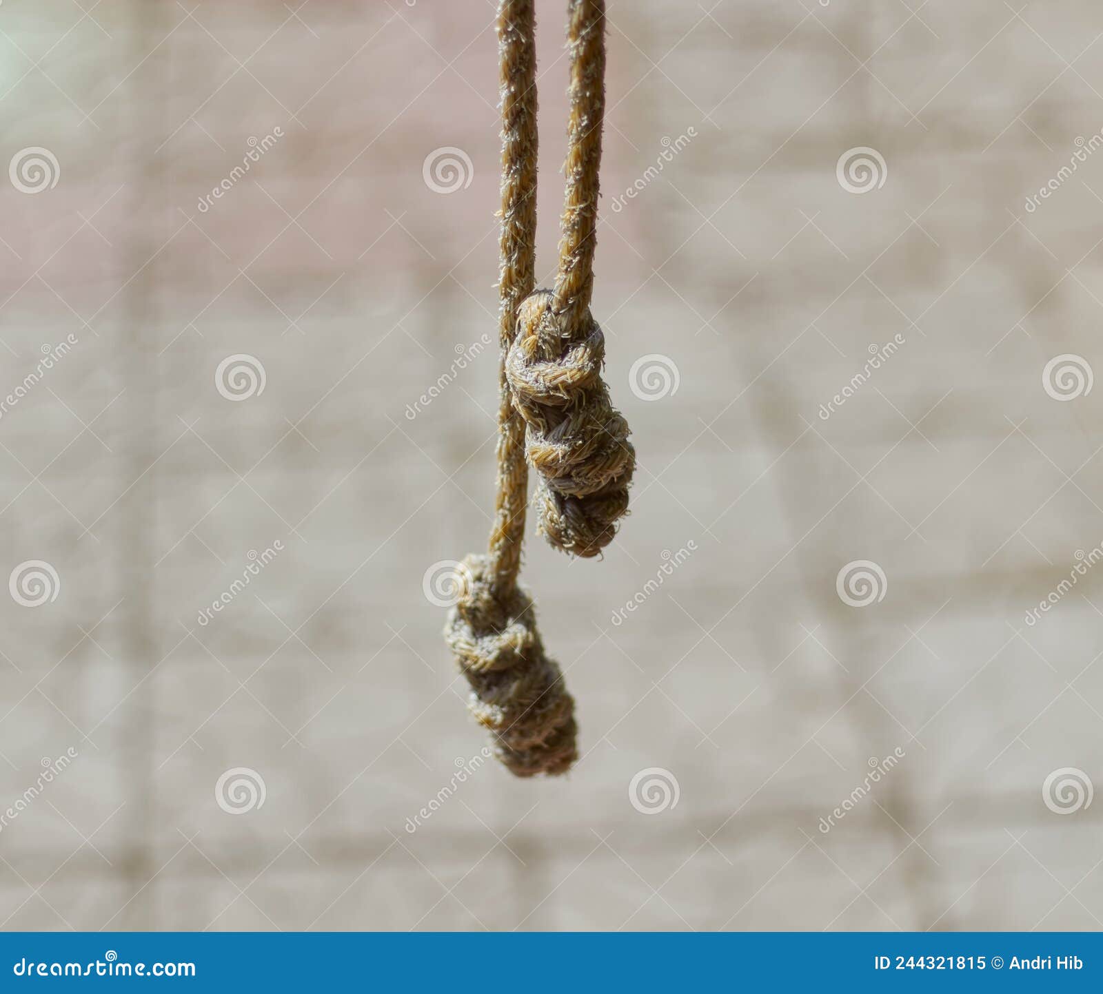 Knot Knots. the Rope is Hanging. Blurred Light Background. Stock Image ...