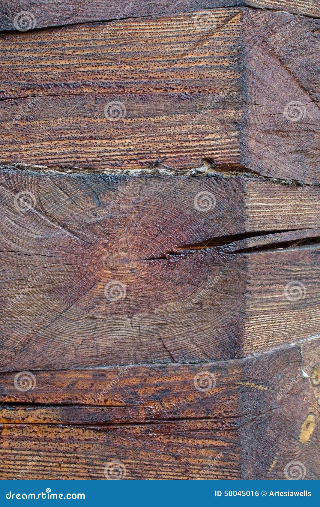 Knot on a Log House Detail Vertical Closeup. Stock Photo - Image of ...
