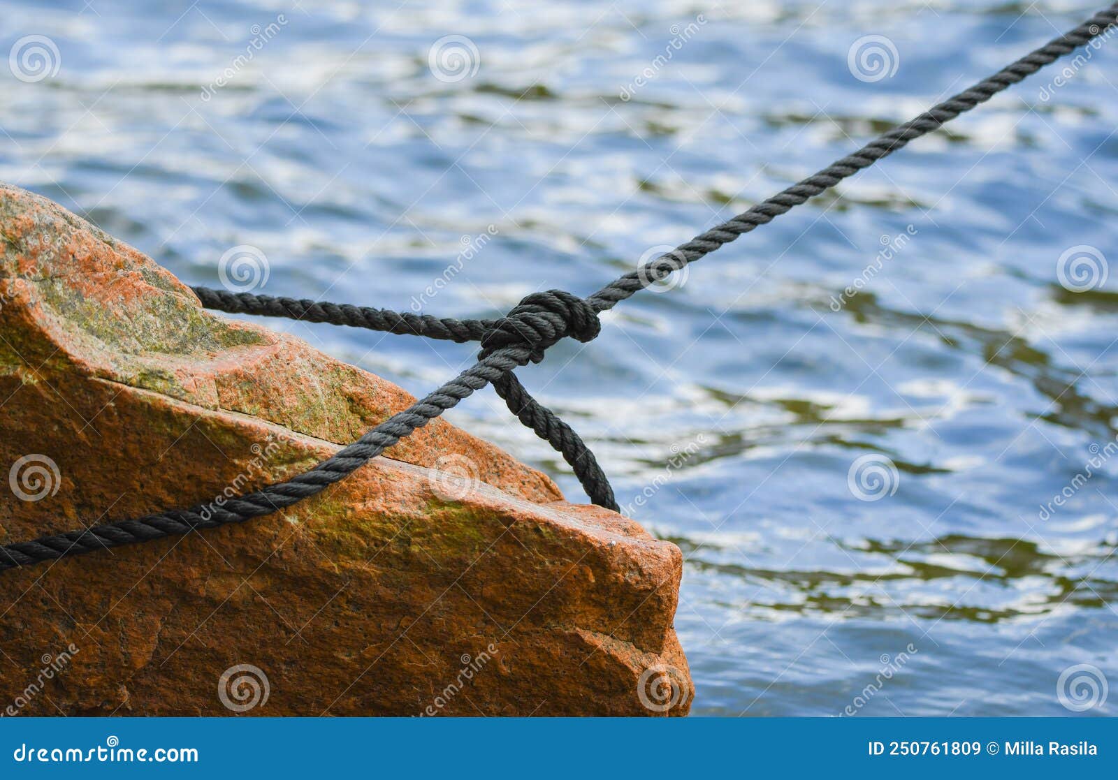 Knot on a rock stock image. Image of rope, archipelago - 250761809