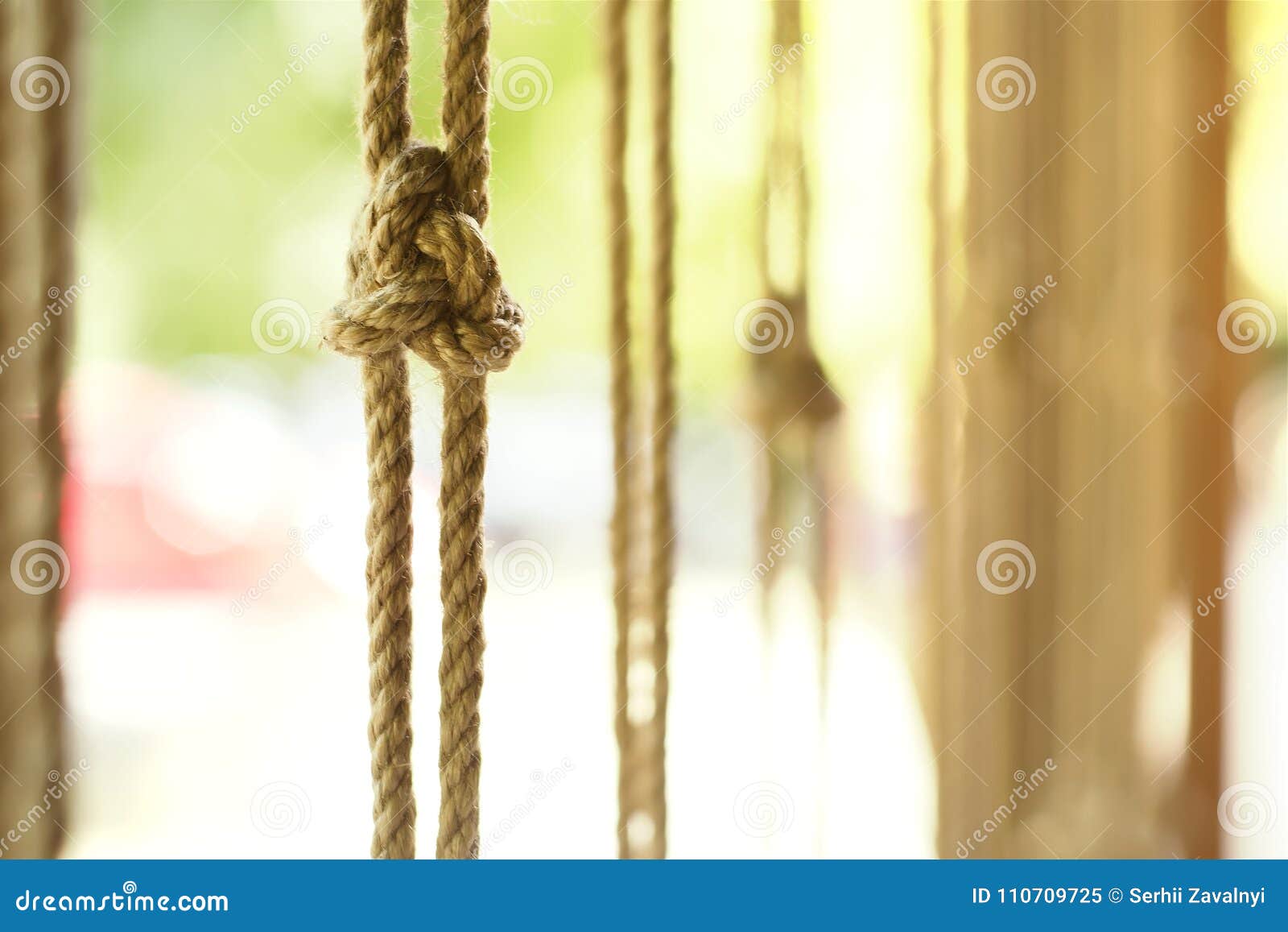 Knot on a Vertically Suspended Rope Against a Warm Summer Day ...