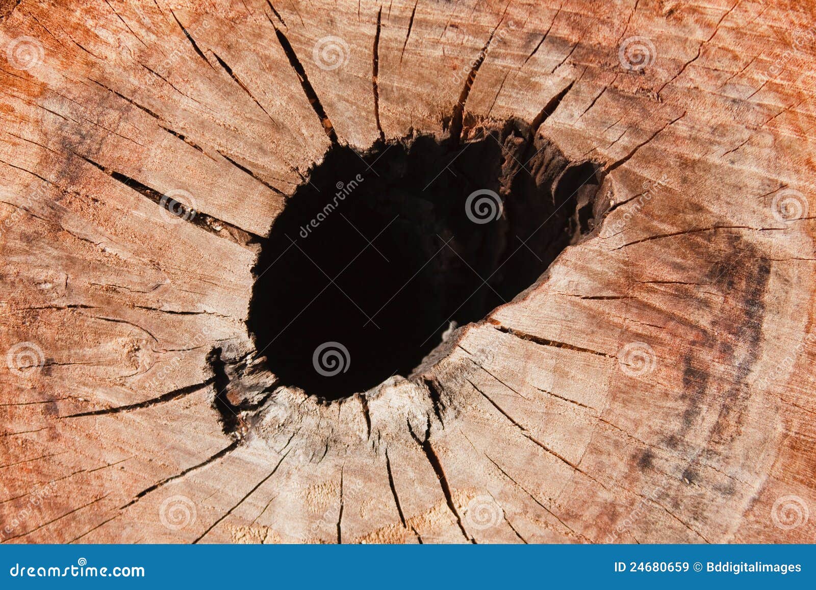 Knothole stock image. Image of grained, abstract, nature - 24680659