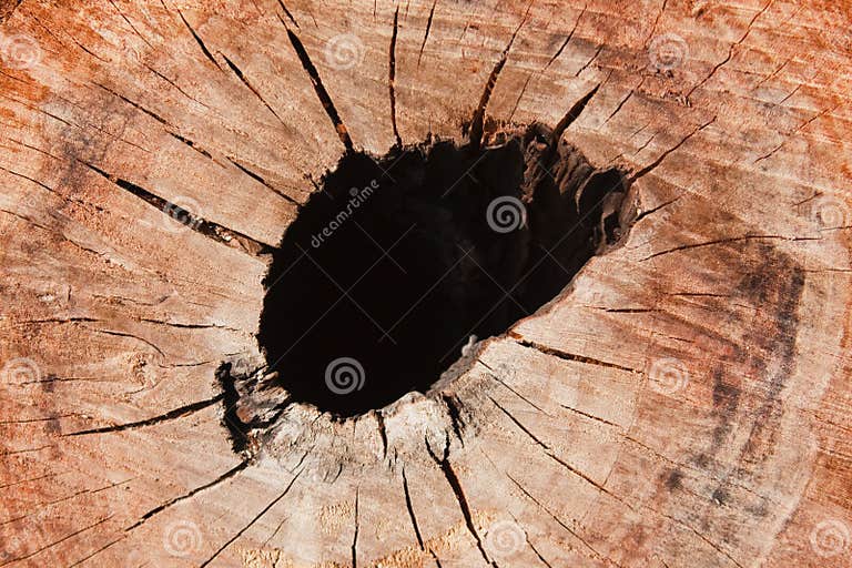 Knothole stock image. Image of grained, abstract, nature - 24680659