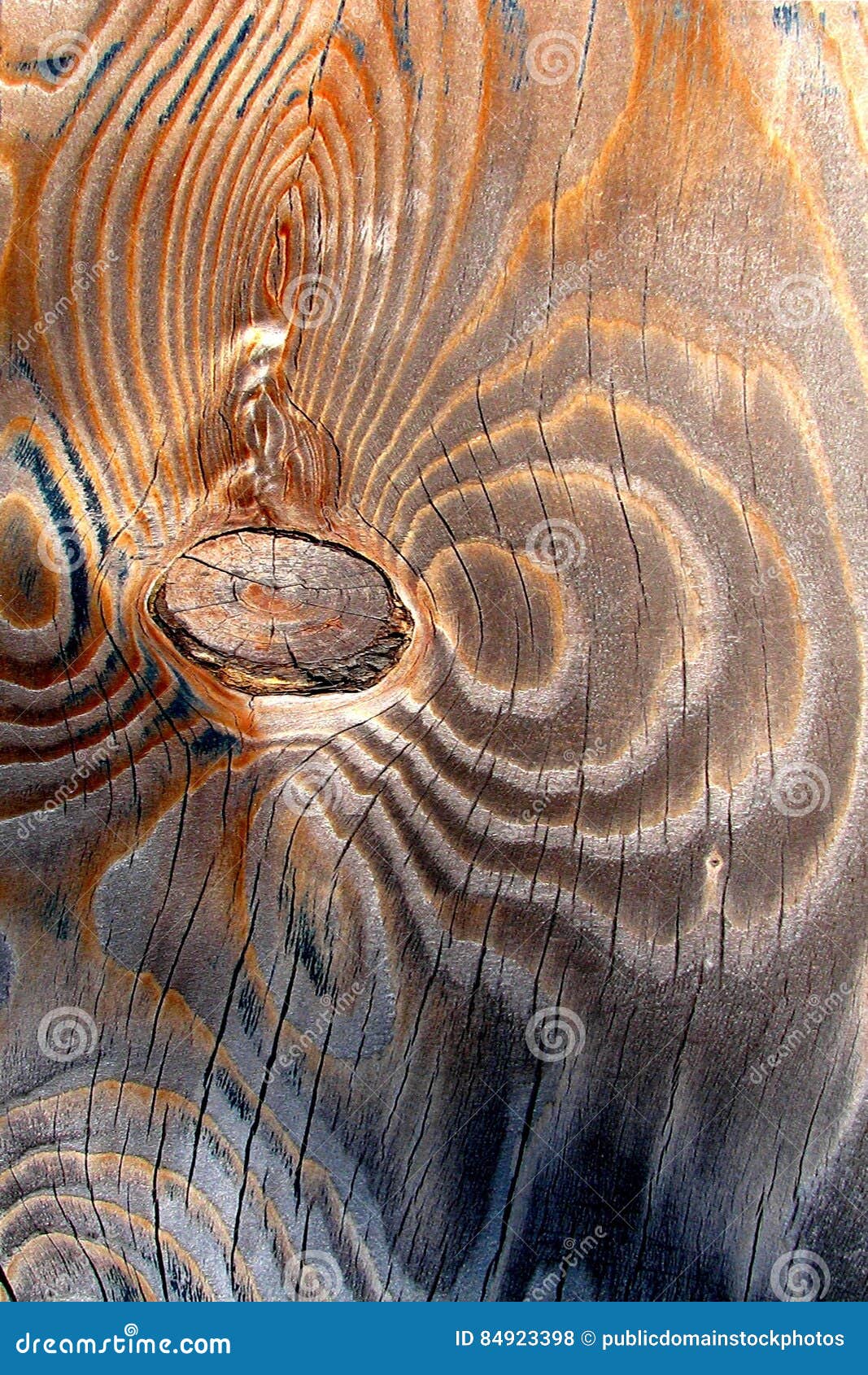 Knotholes 3 Picture. Image: 84923398