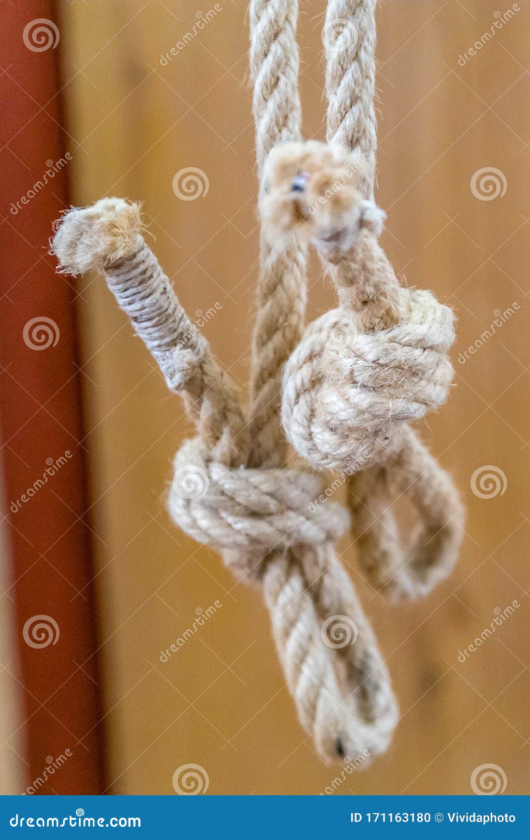 Knots of a rope stock photo. Image of knots, cord, rope - 171163180