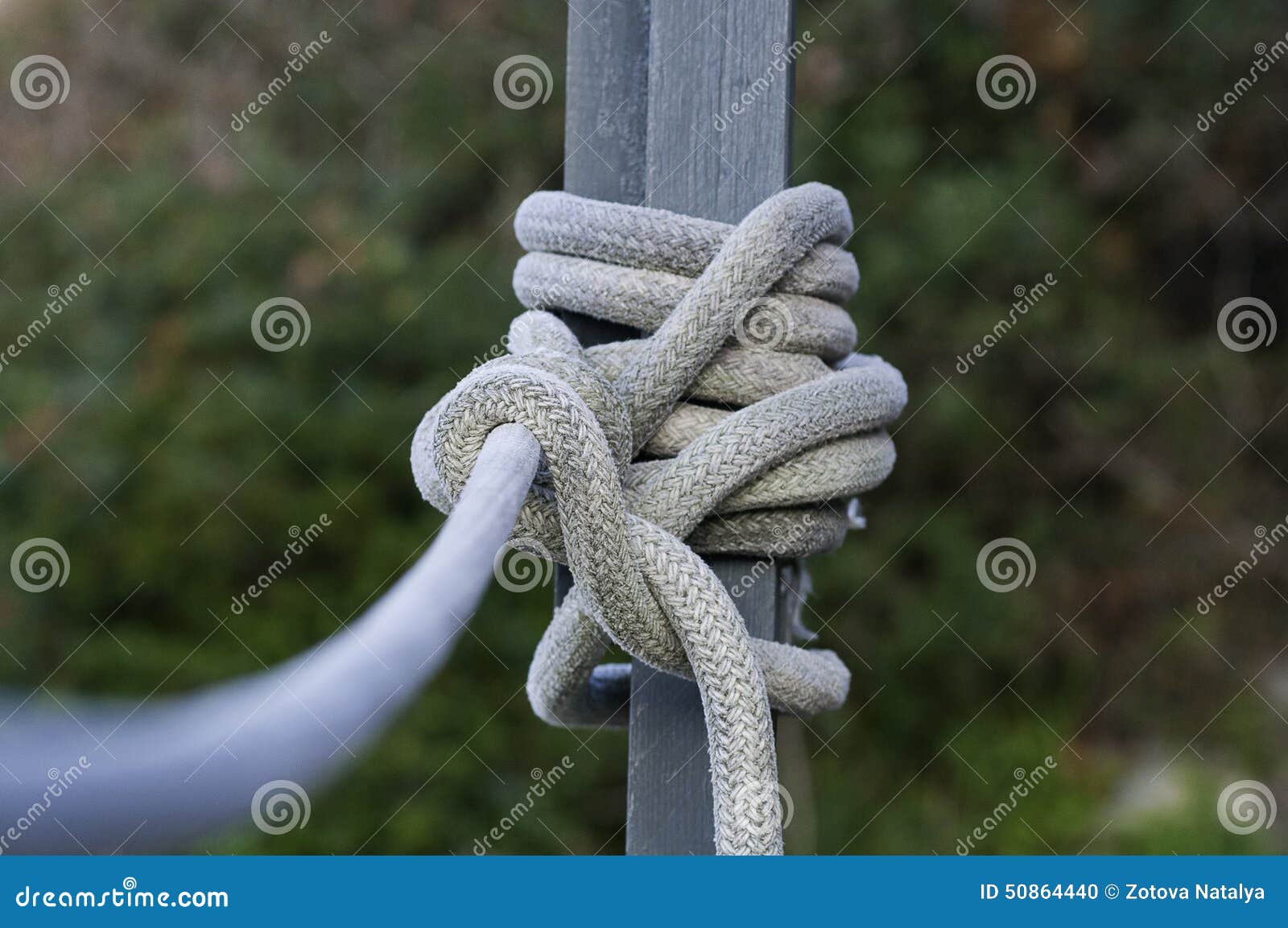 Knots stock photo. Image of cable, cables, eliminated - 50864440