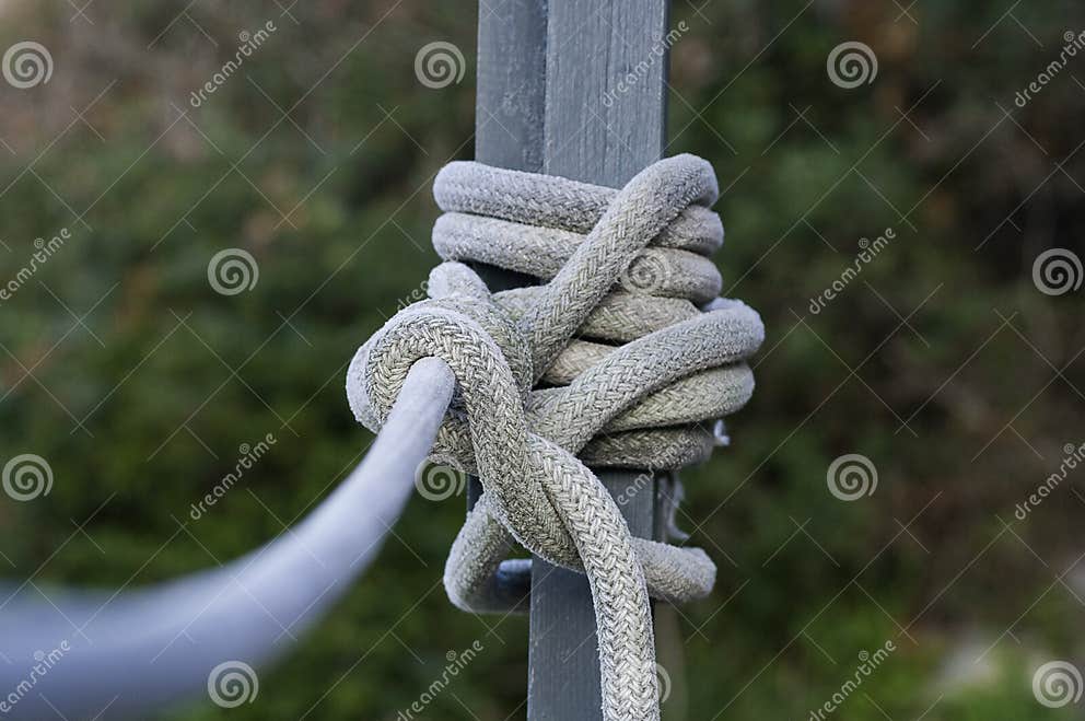 Knots stock photo. Image of cable, cables, eliminated - 50864440