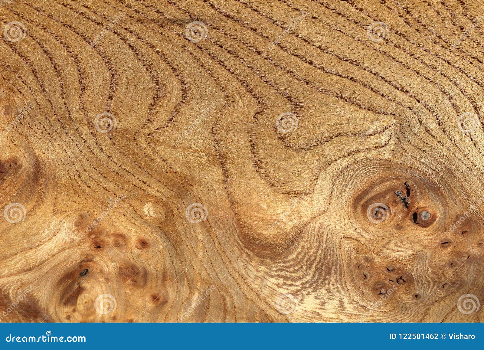 Knotted Grainy Wood Texture Stock Photo - Image of abstract, timber ...