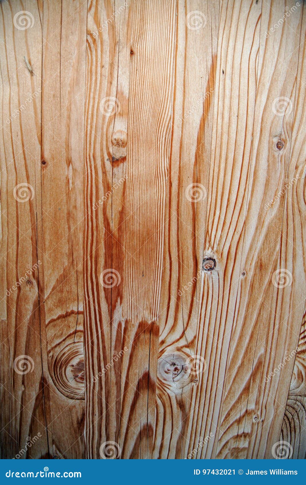 Knotted Lined Timber Texture Stock Image - Image of knots, texture ...