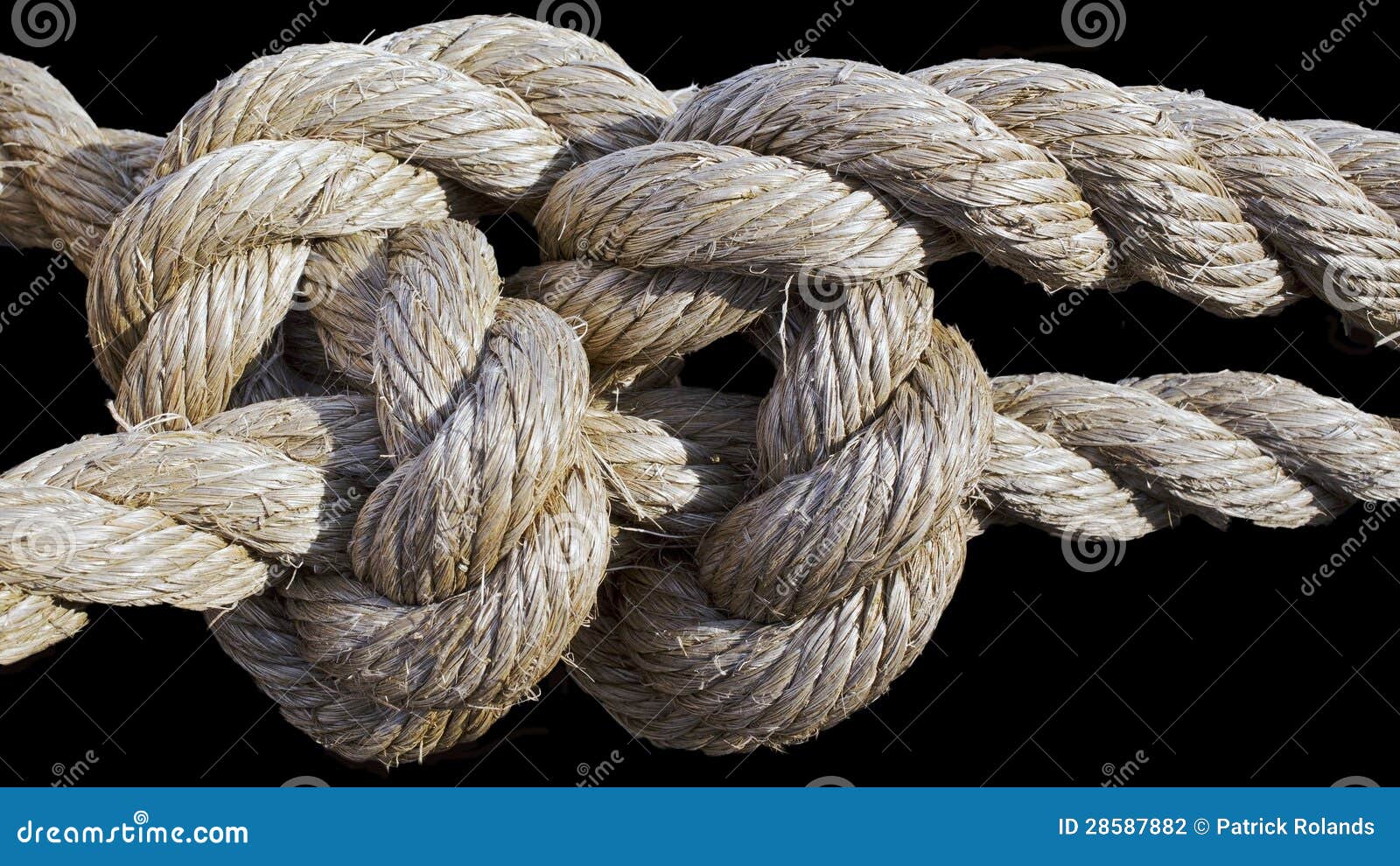 Knotted rope stock photo. Image of closeup, isolated - 28587882