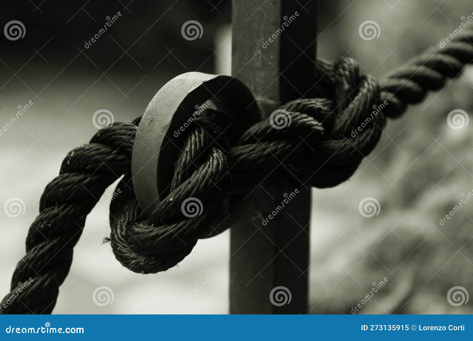 Knotted rope stock image. Image of hand, organ, rope - 273135915