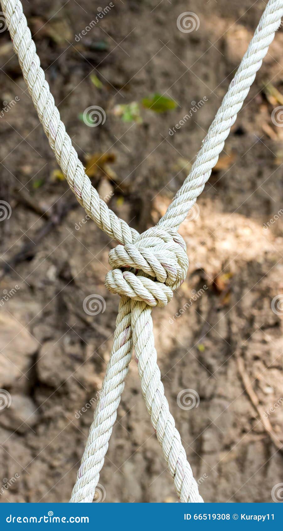 Knotted rope stock photo. Image of navy, line, shipping - 66519308