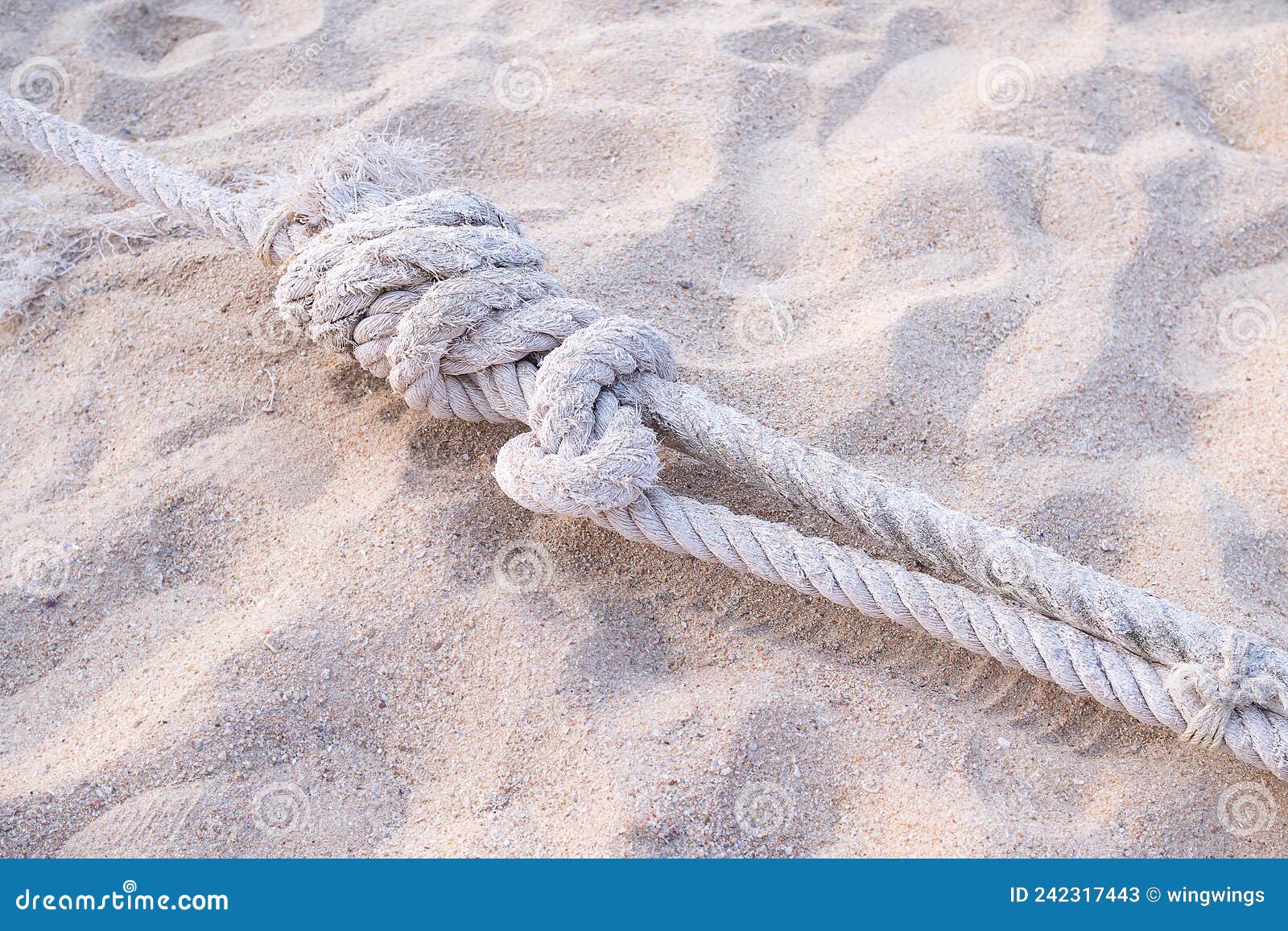 Knotted Rope on Sand Beach. Stock Image - Image of sand, ropes: 242317443
