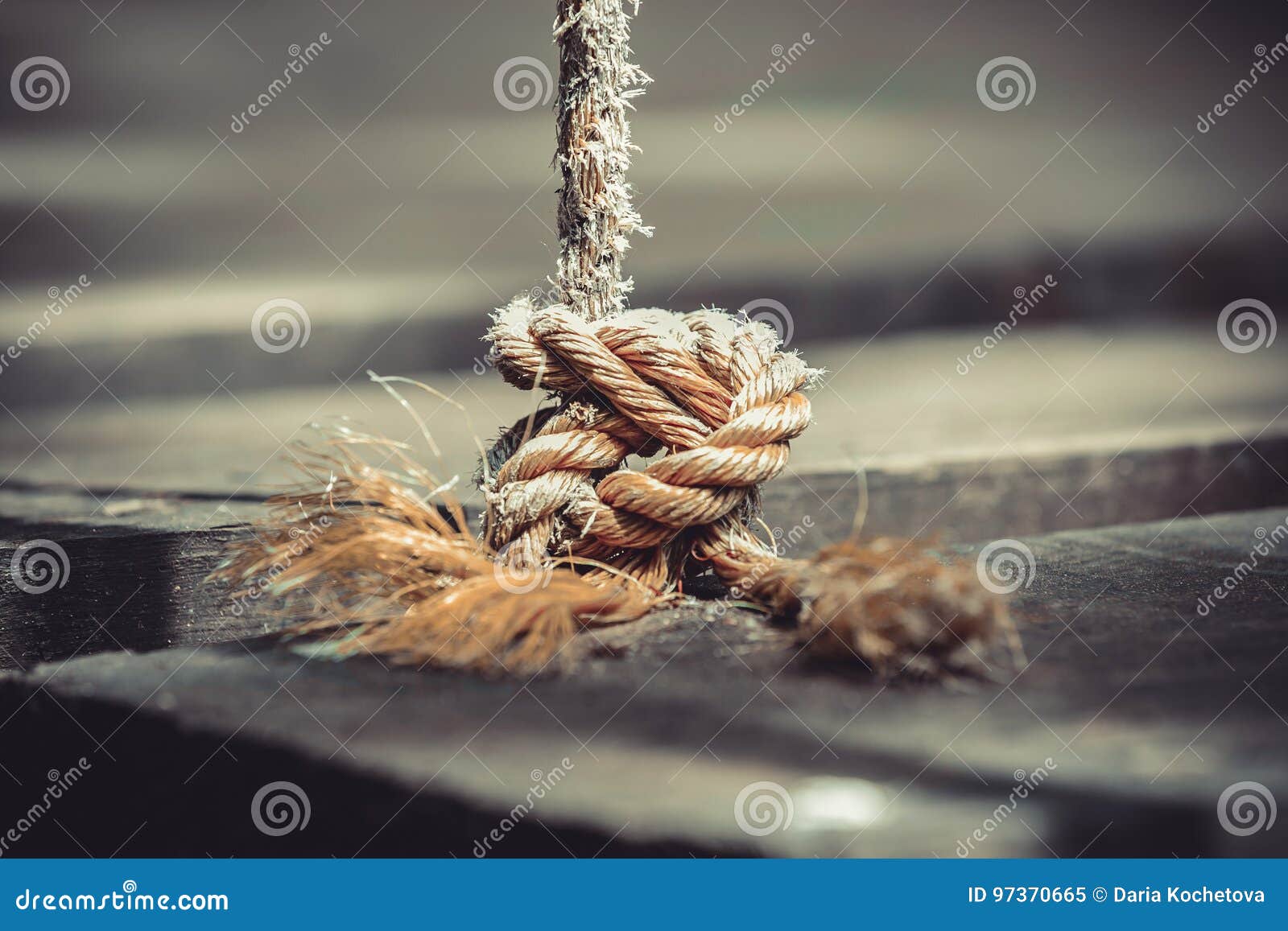 The Knotted Rope Stock Image Image Of Vintage Frame 97370665