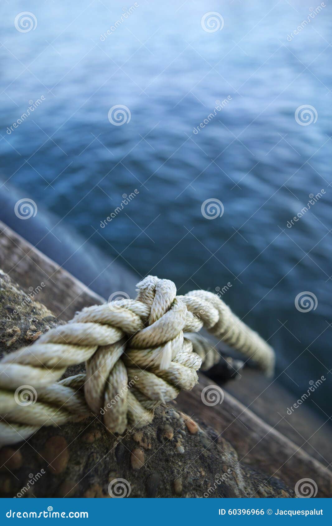 Knotted rope stock photo. Image of stone, string, object - 60396966
