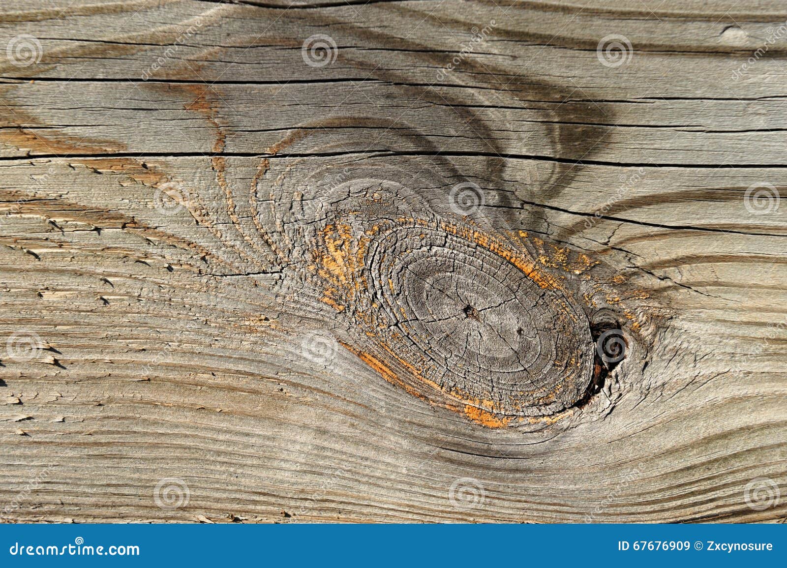 Knotted wood texture stock image. Image of wood, timber - 67676909
