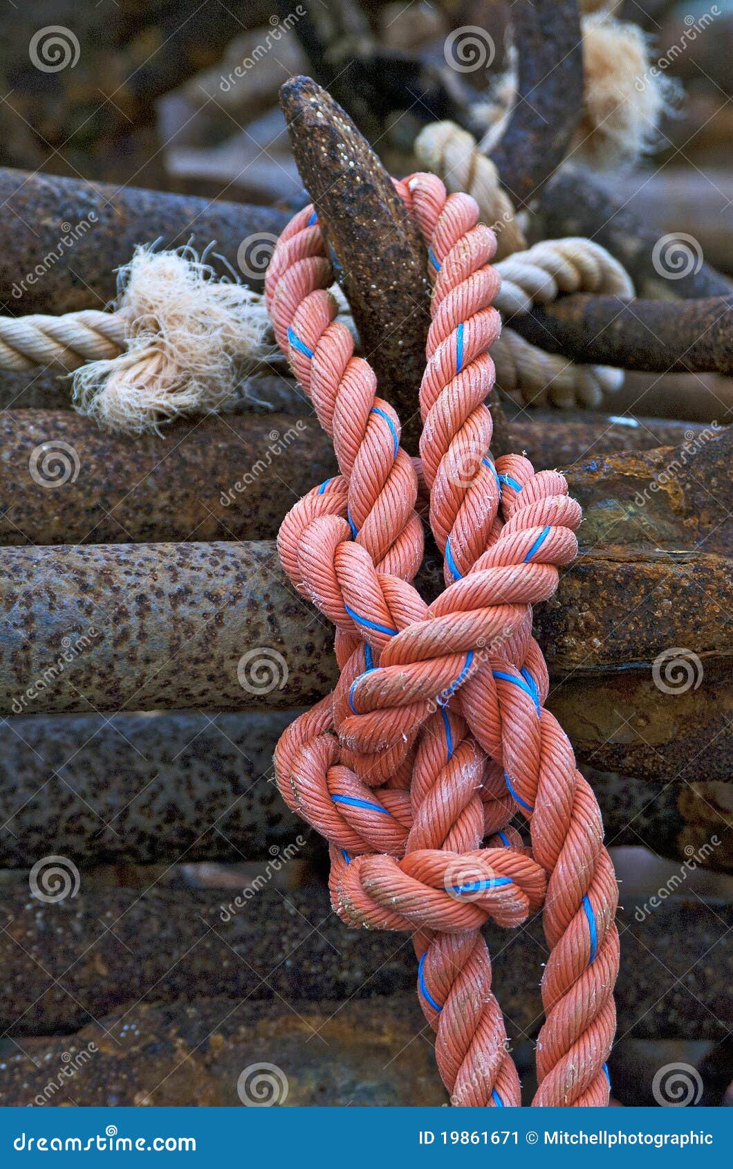 Knotted Nautical Rope stock image. Image of rope, maritime - 19861671