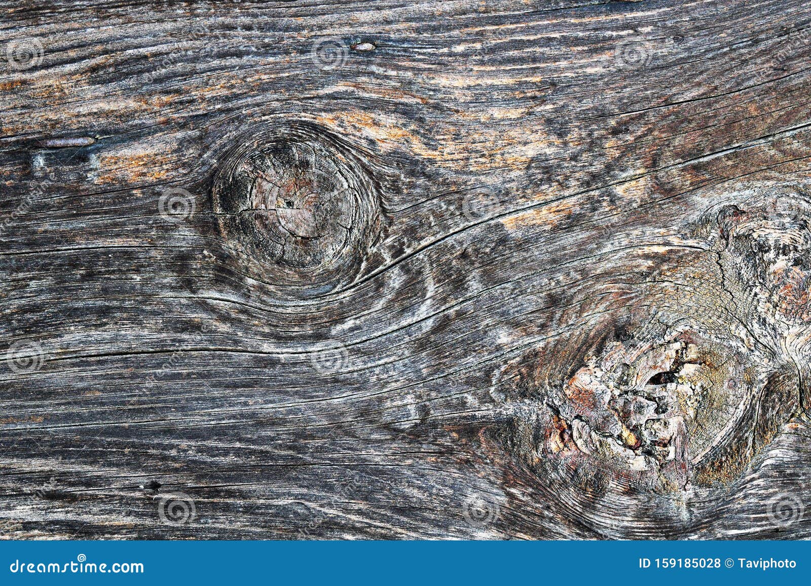 Knotty Surface of Old Spruce Plank Stock Photo - Image of rustic ...