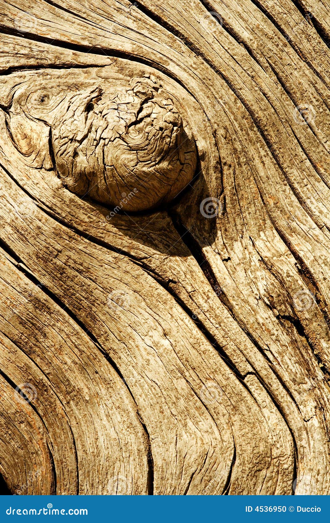 Knotty wood stock photo. Image of brown, background, grain - 4536950