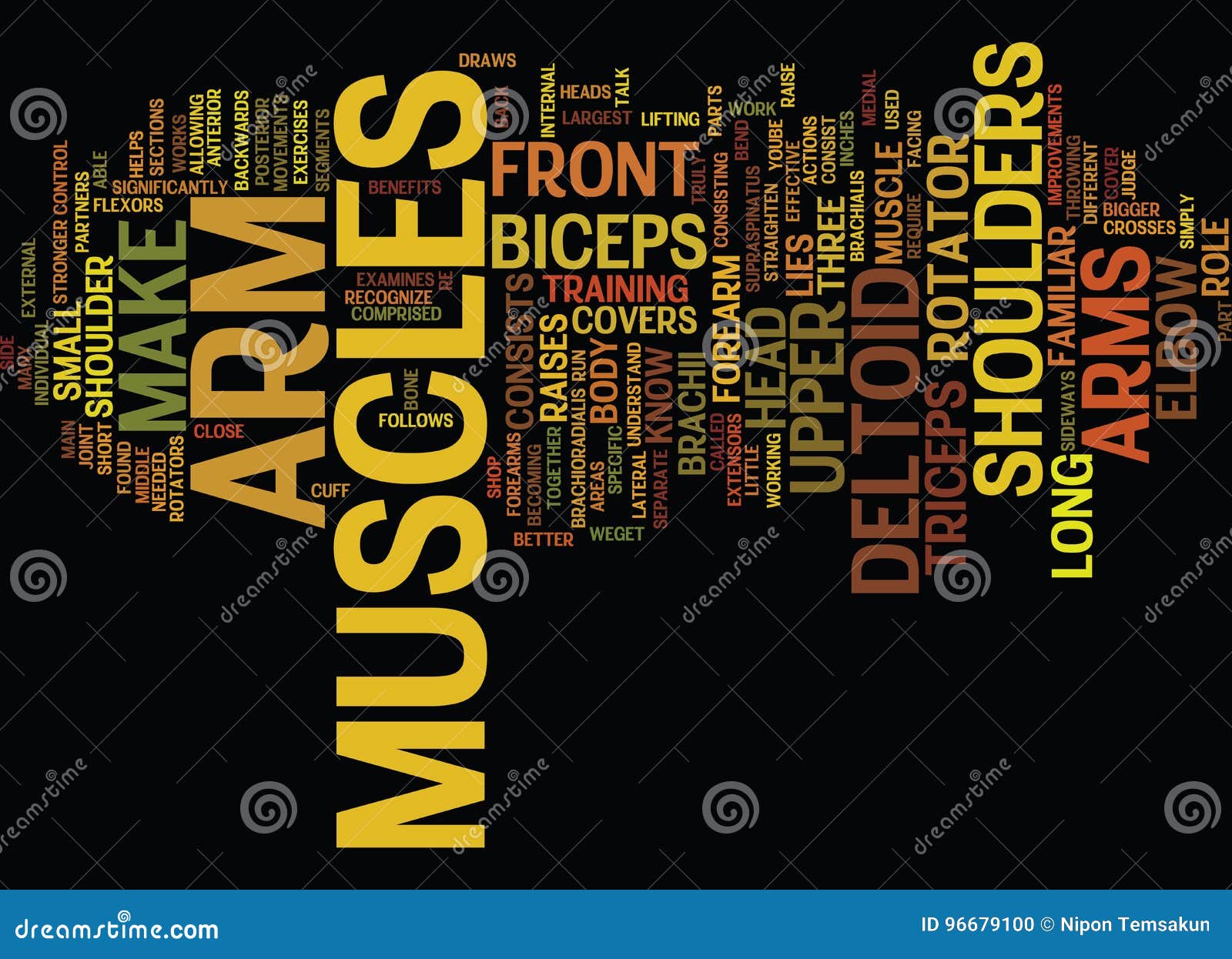 Know Your Muscles The Lower Body Text Background Word Cloud Concept ...
