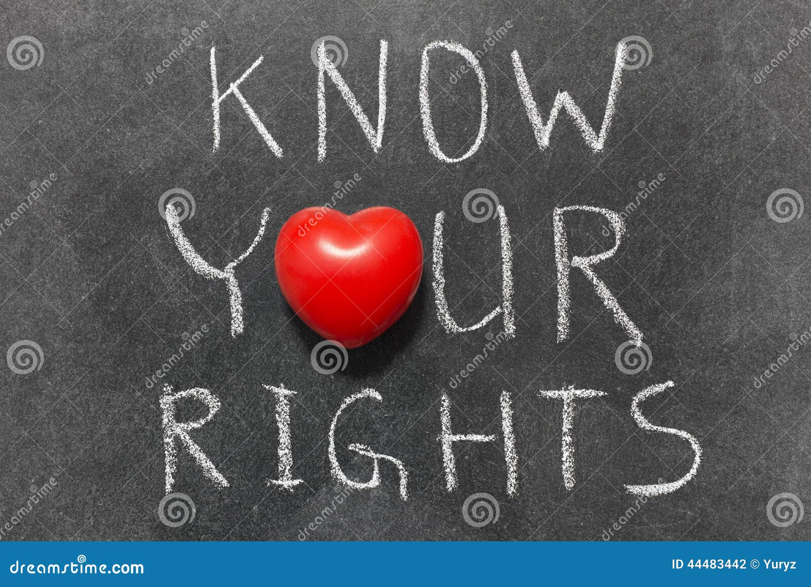 Know your rights stock photo. Image of knowledge, handwritten - 44483442