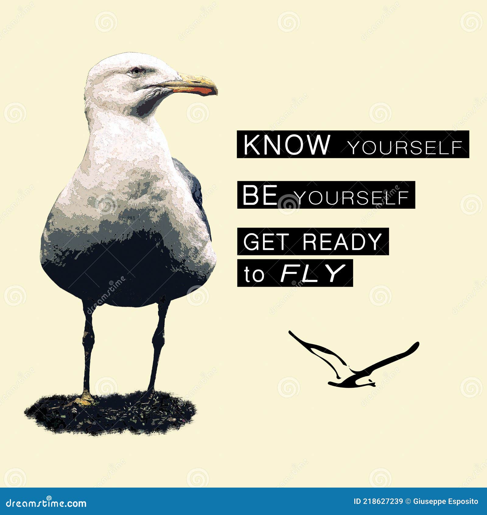 Illustration. the Philosophy of the Wise Seagull Stock Image ...