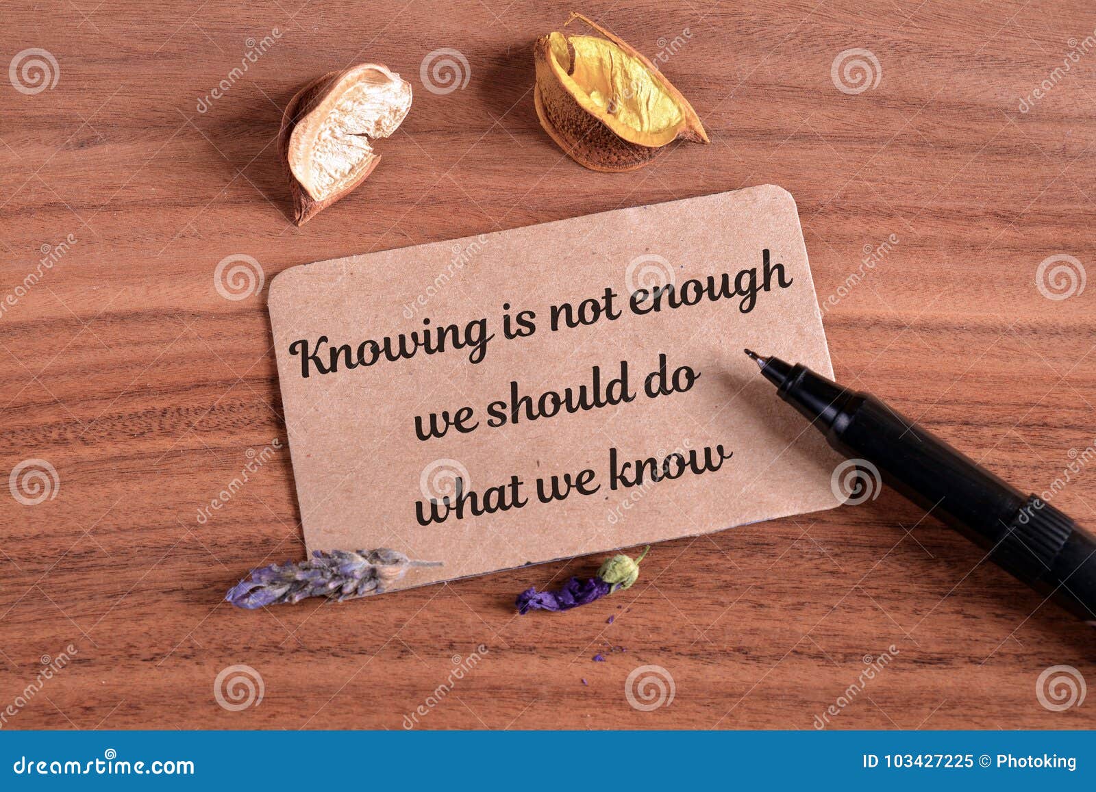 Knowing in not enough stock image. Image of colors, dired - 103427225