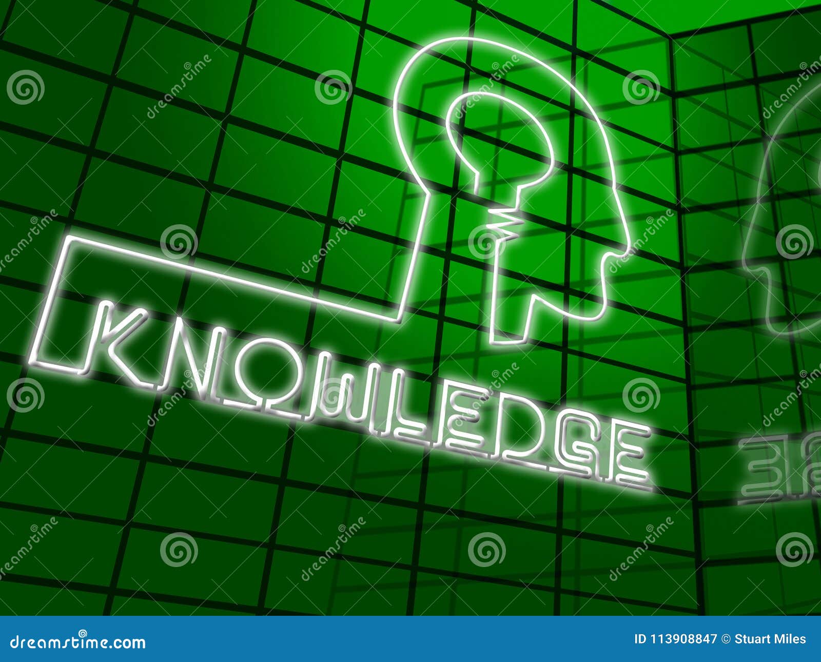 Knowledge Brain Showing Know How 3d Illustration Stock Illustration ...