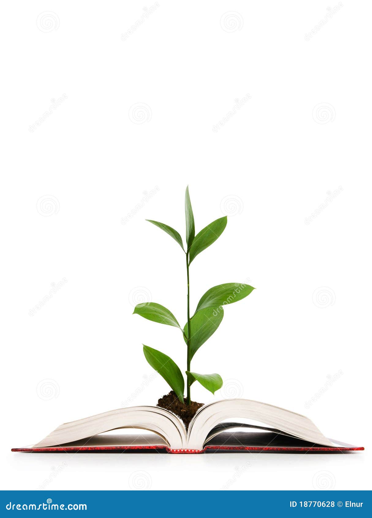 Knowledge Tree Growing Out Book Stock Photos - 7 Images