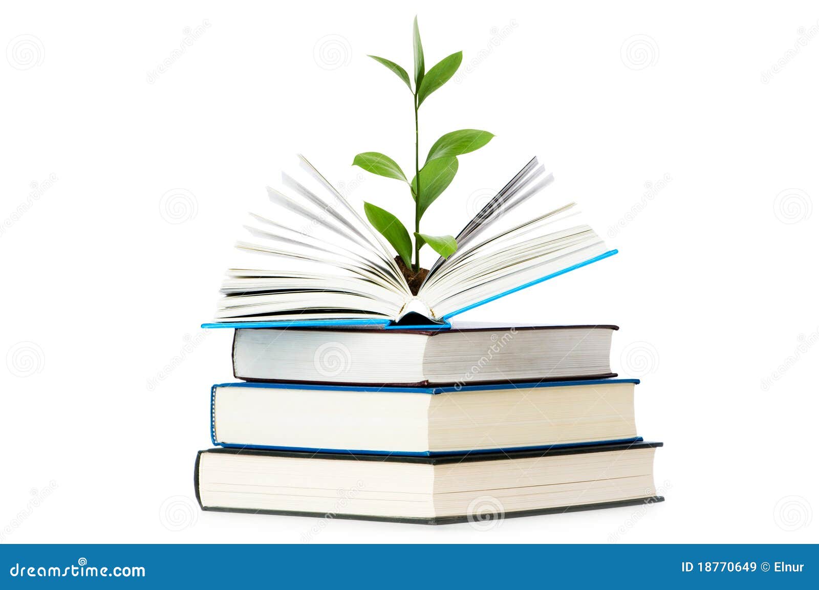 Knowledge Concept - Leaves Growing Out of the Book Stock Image - Image ...