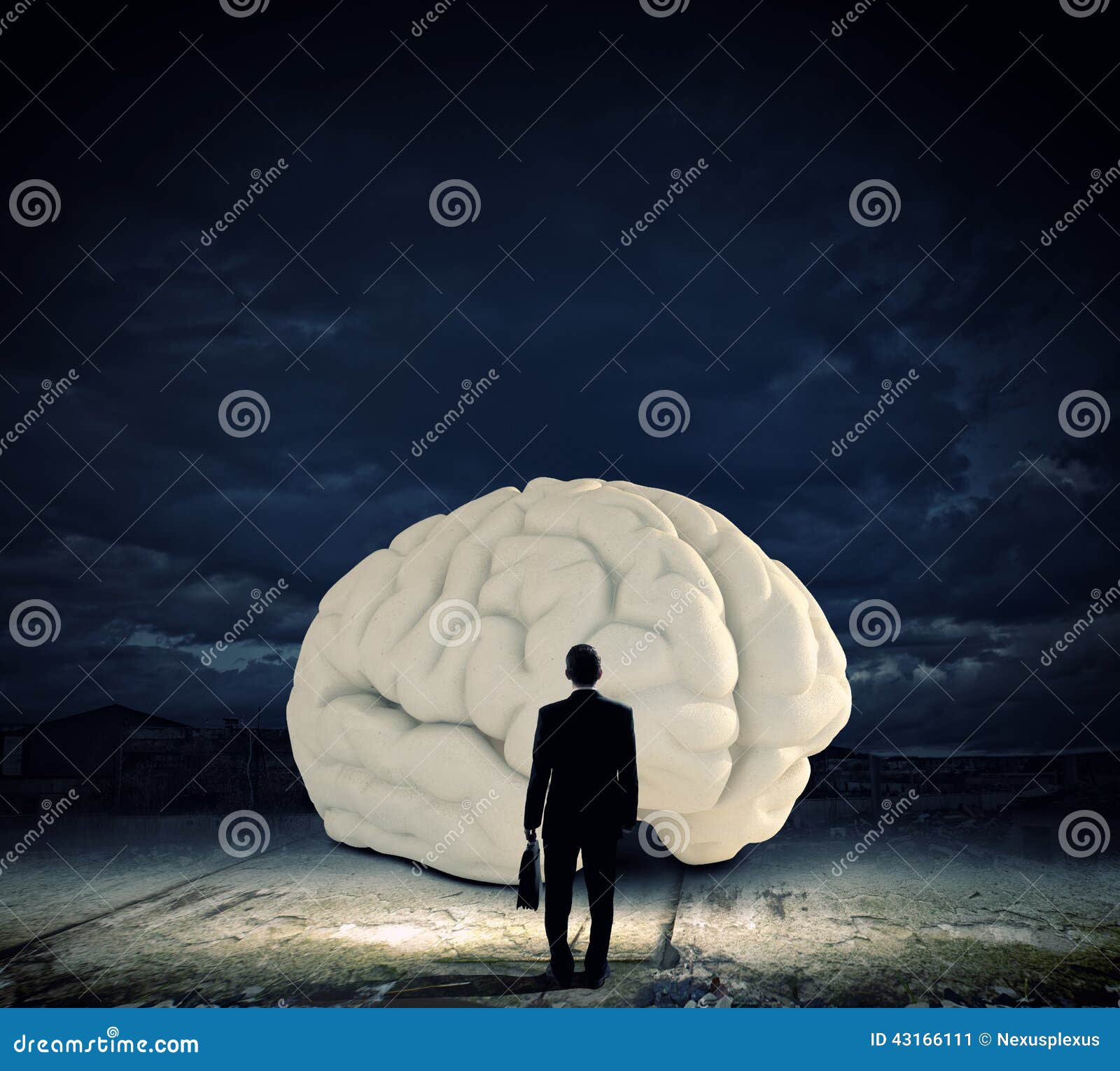 Knowledge concept stock image. Image of genius, success - 43166111