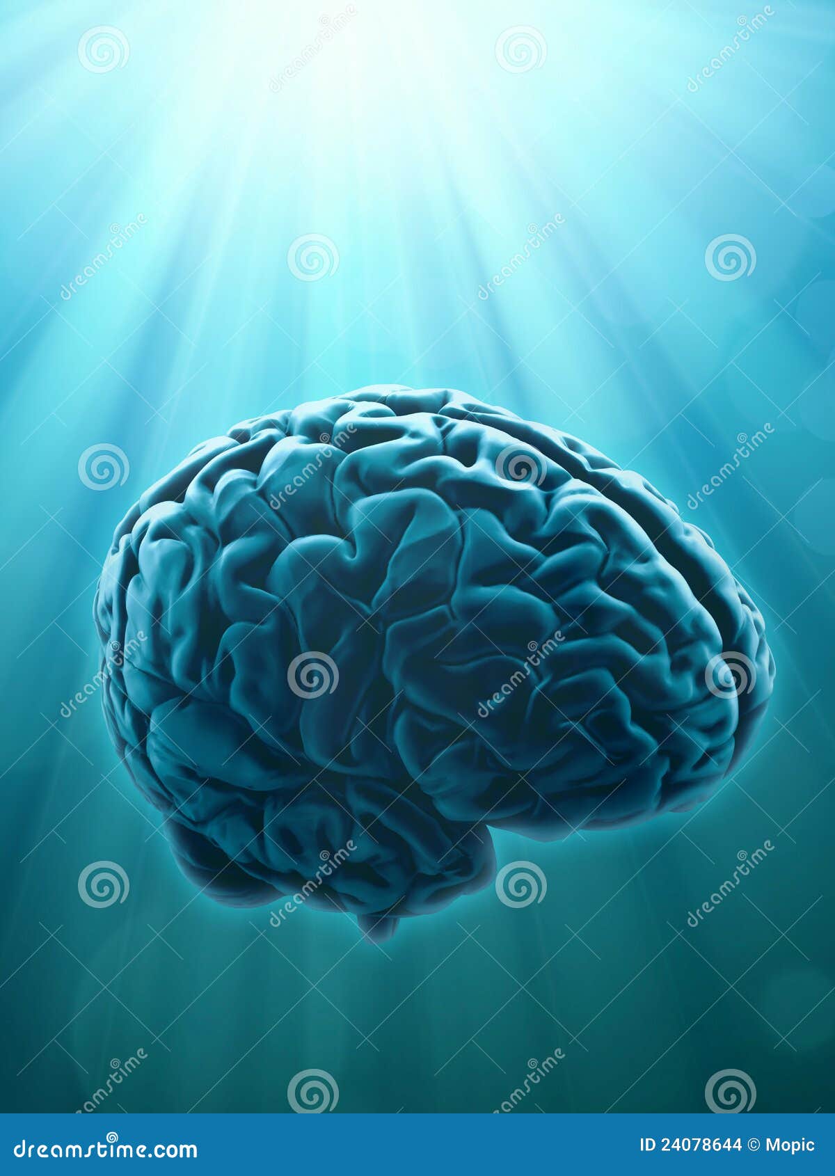 Knowledge and Creativity Concept Stock Illustration - Illustration of ...