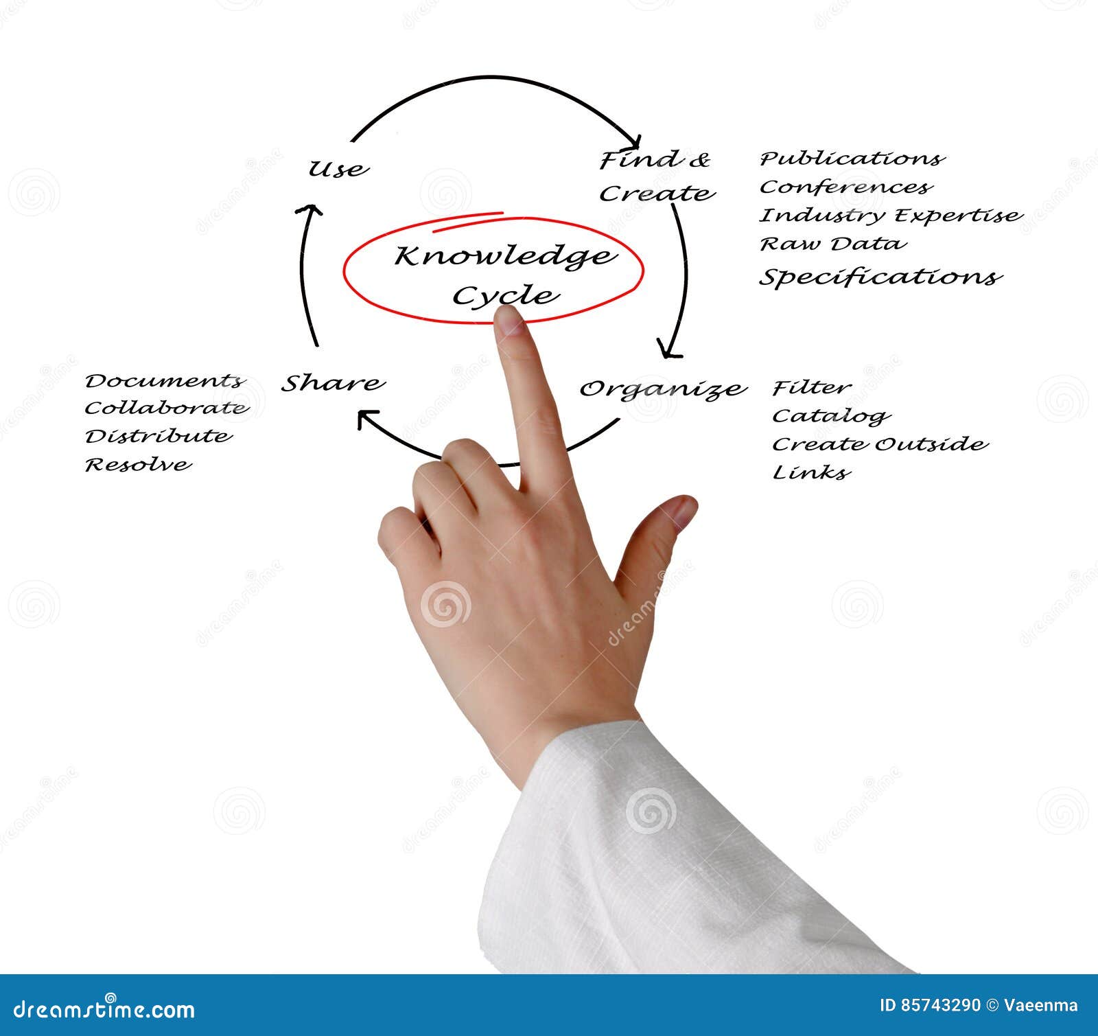Knowledge Cycle stock photo. Image of hand, concept, distribution ...