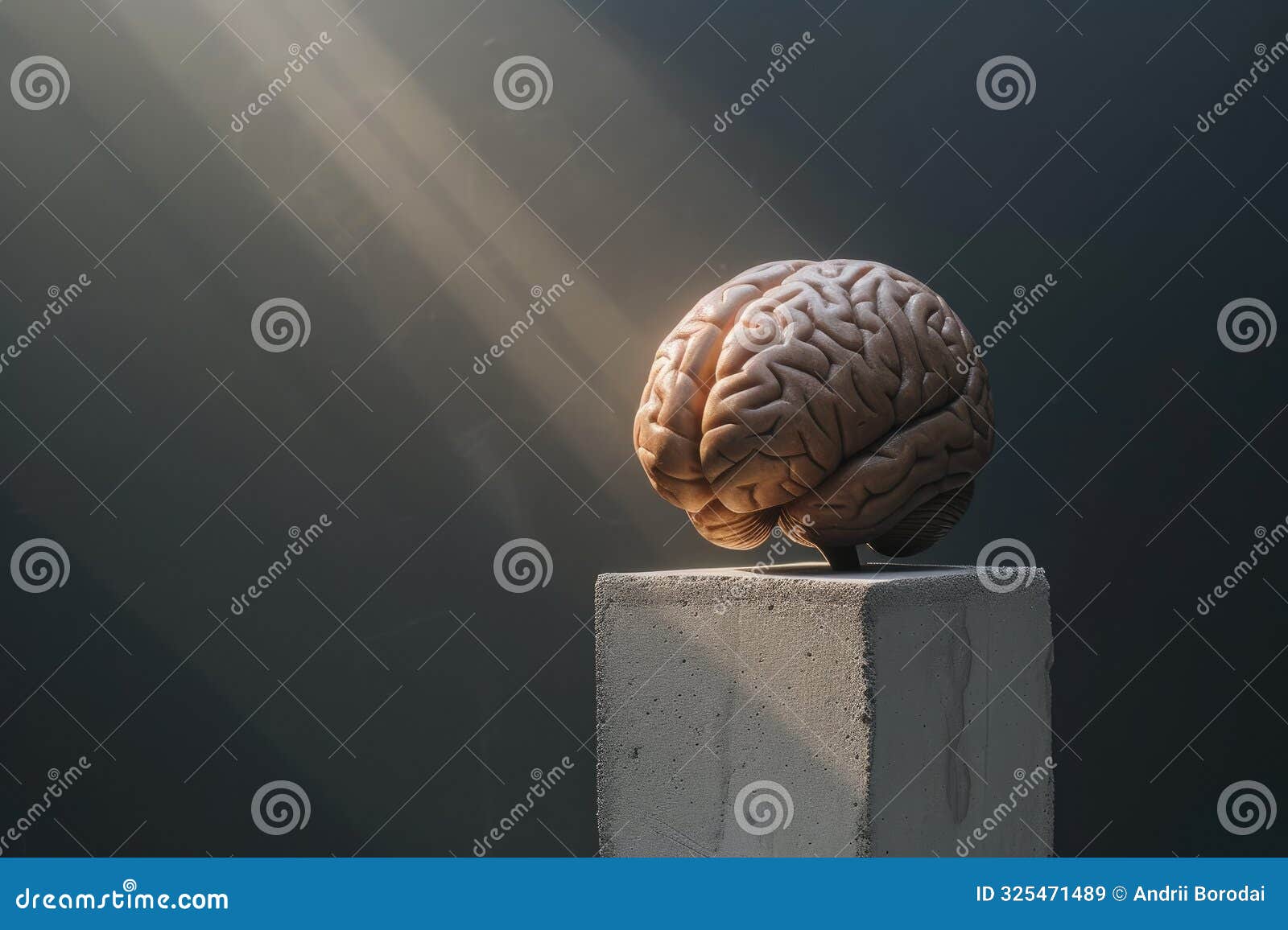 Knowledge Illuminated: Brain on Display. Stock Illustration ...