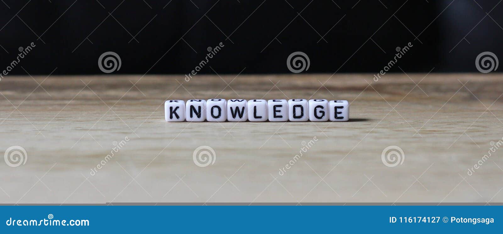 Knowledge stock image. Image of knowledge, everyone - 116174127