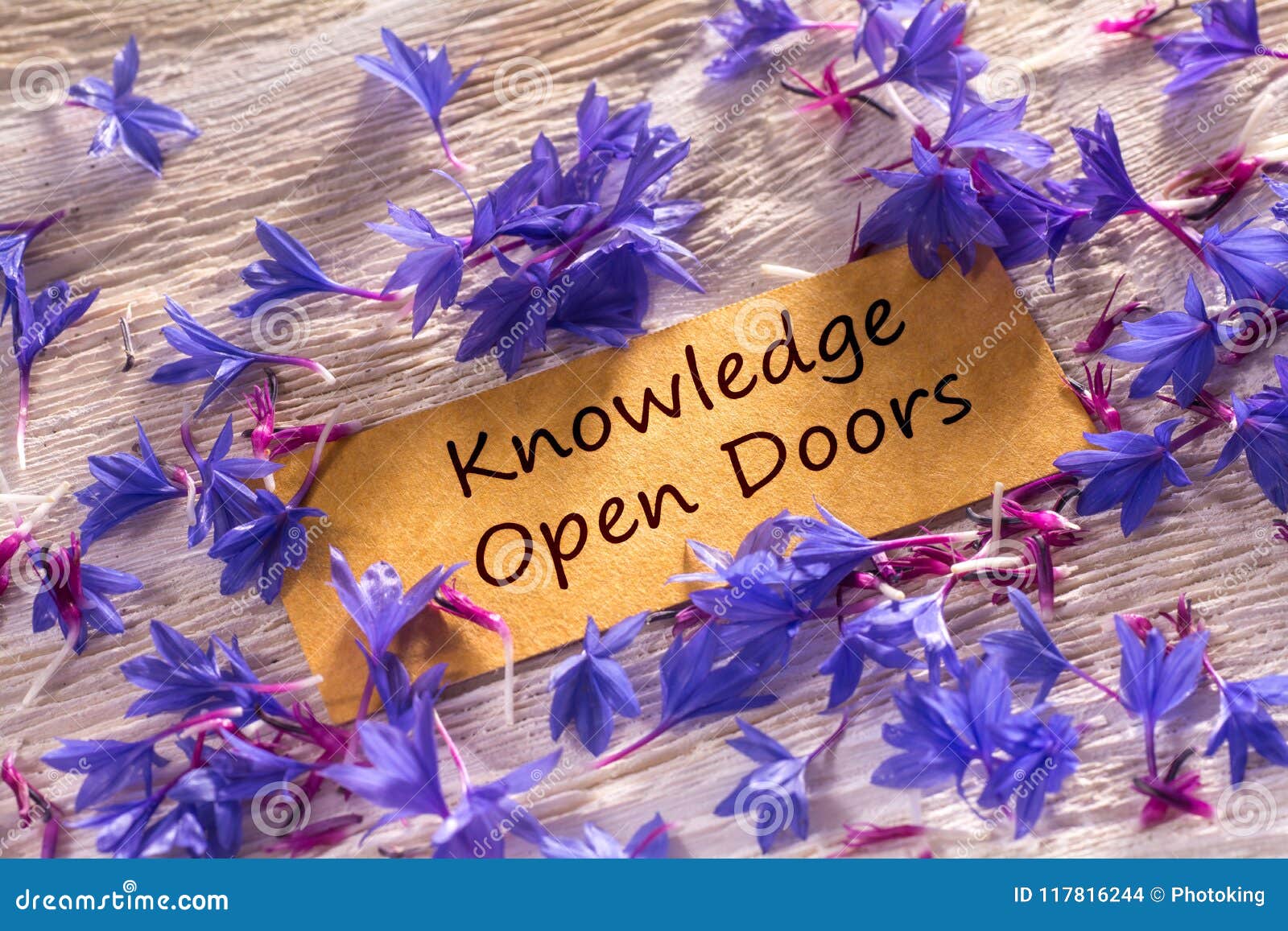 Knowledge Open Doors stock photo. Image of memo, door - 117816244
