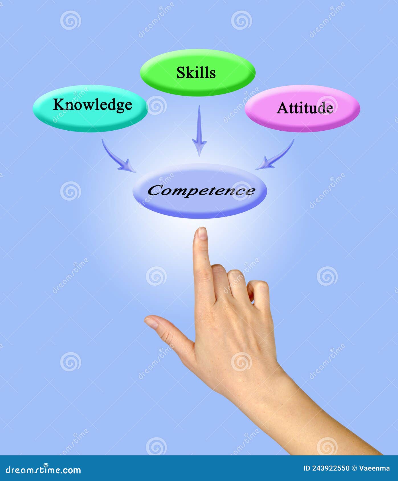 Competence stock photo. Image of expert, diagram, pointing - 243922550