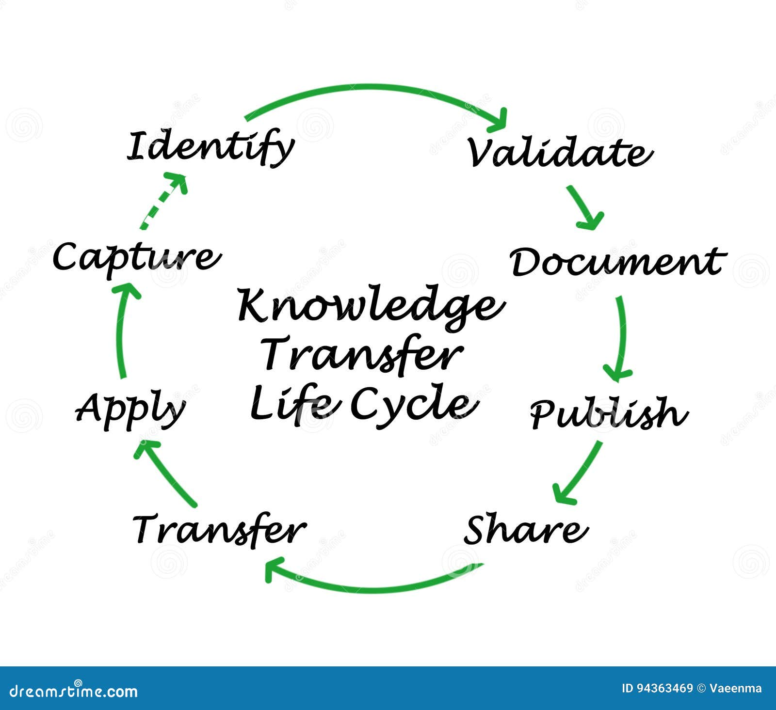 Knowledge Transfer Life Cycle Stock Illustration - Illustration of ...