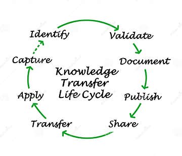 Knowledge Transfer Life Cycle Stock Illustration - Illustration of ...