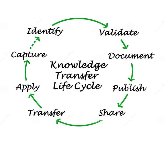 Knowledge Transfer Life Cycle Stock Illustration - Illustration of ...