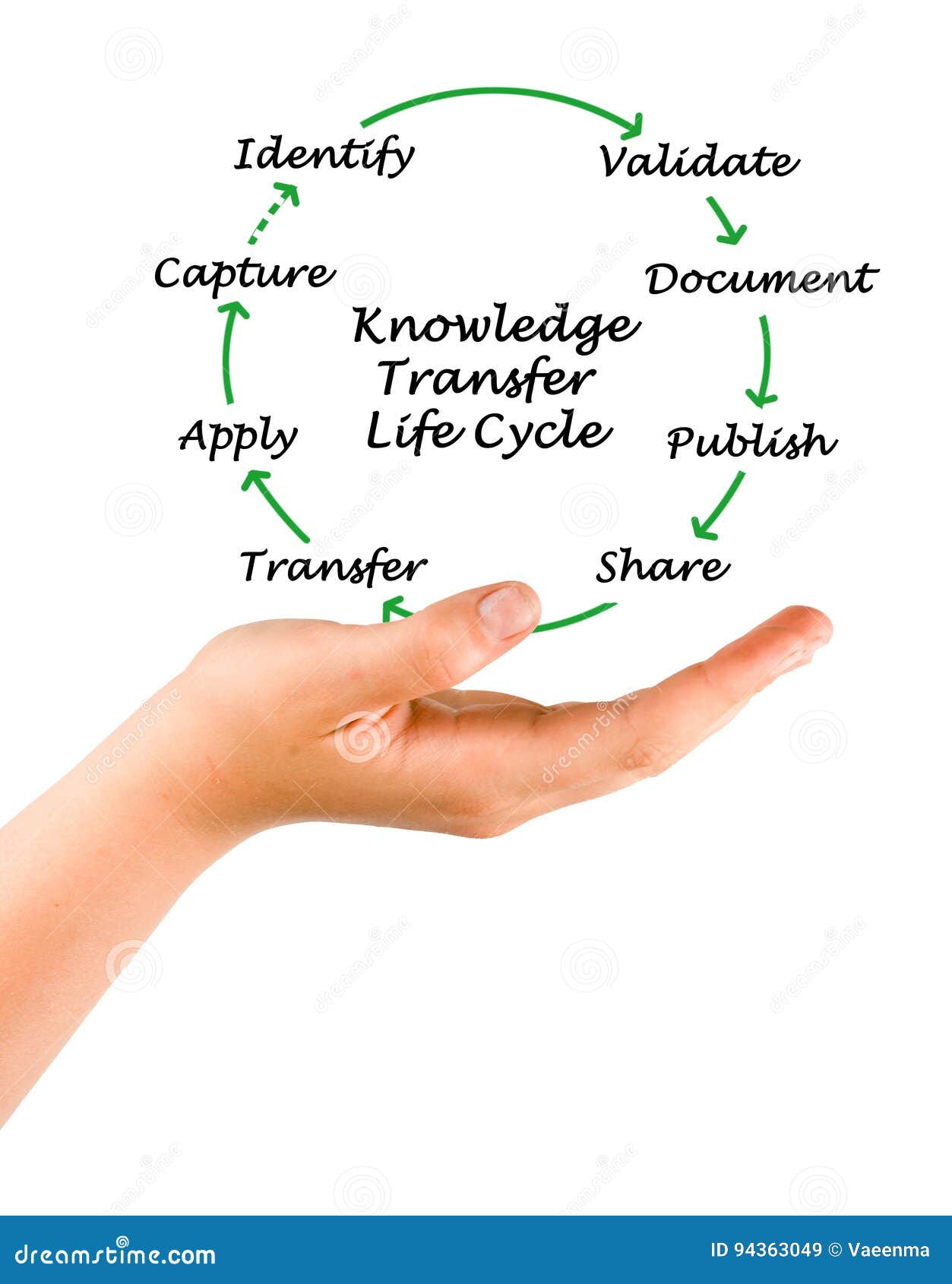 Knowledge Transfer Life Cycle Stock Image - Image of presenting ...
