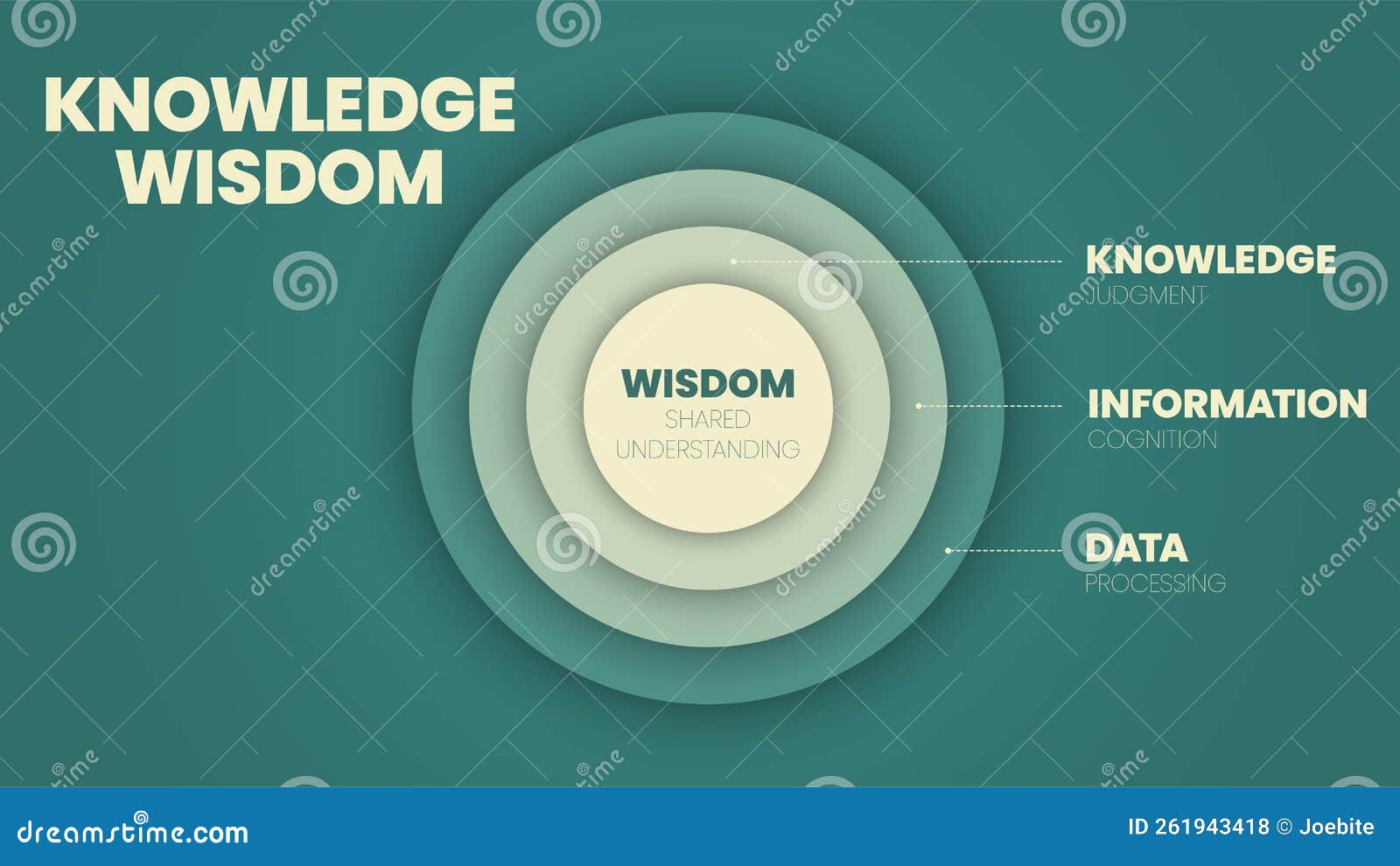 Knowledge Wisdom Circle Infographic Template with Icons. DIKW Knowledge ...