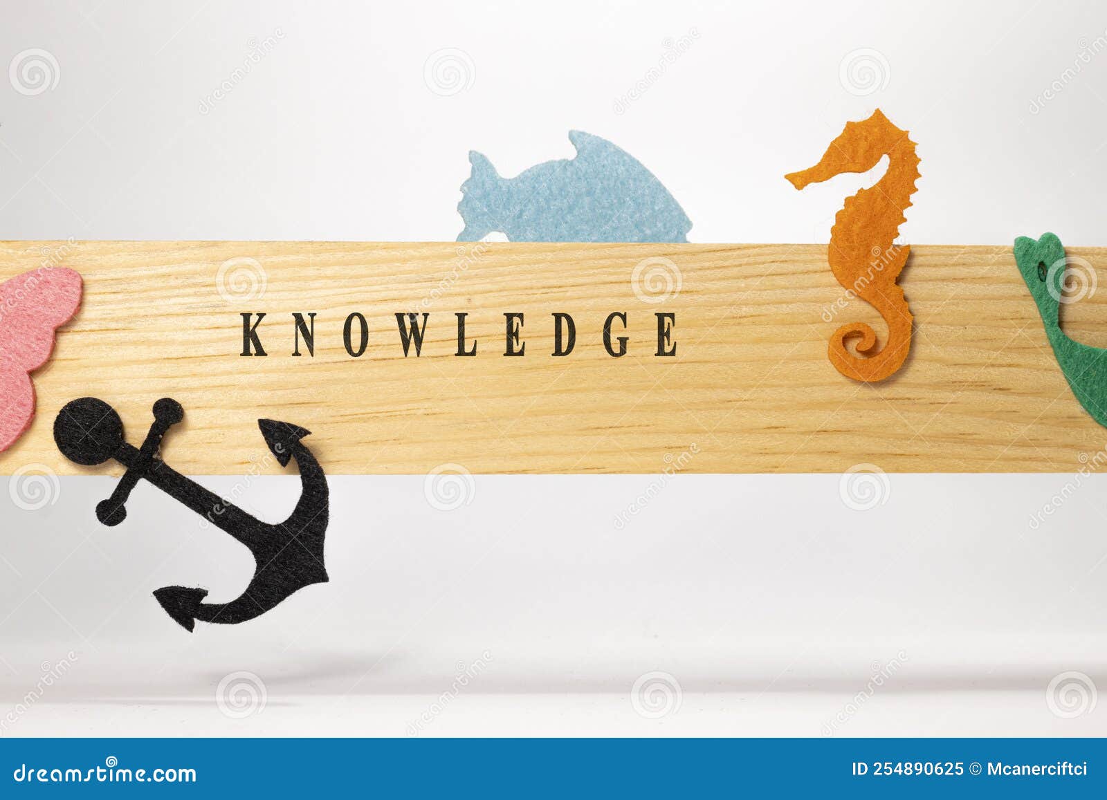 Knowledge Written on Wood Patterned Surface. Education and Child ...