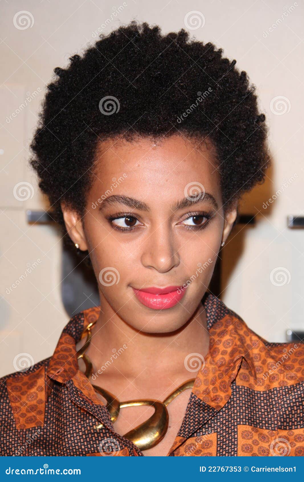 Knowles solange 编辑类库存照片. 图片 包括有 知识, 小山, 爱好健美者, 安赫莱斯, 傲慢 - 22767353