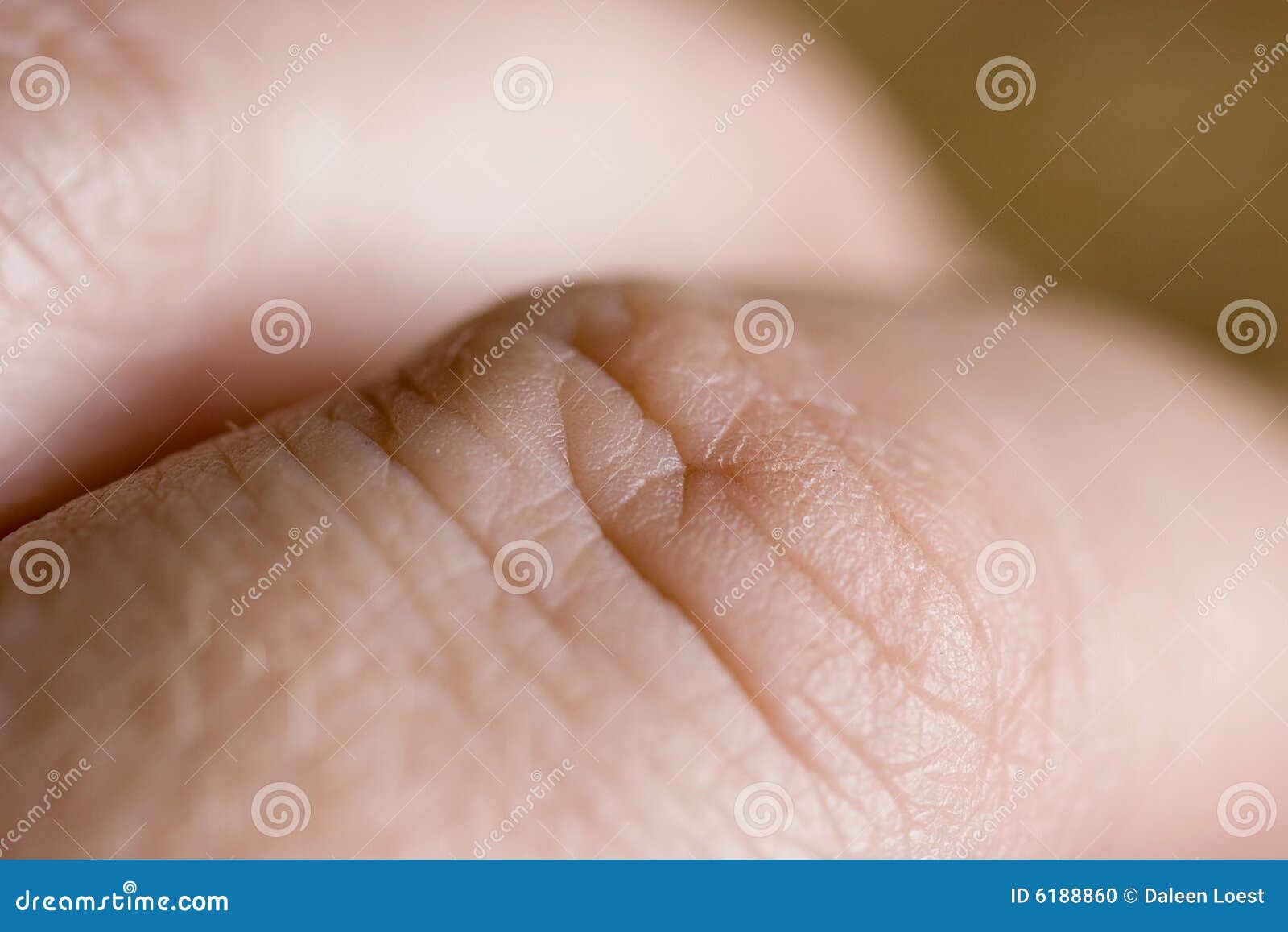 Knuckle of human hand stock photo. Image of distal, finger - 6188860